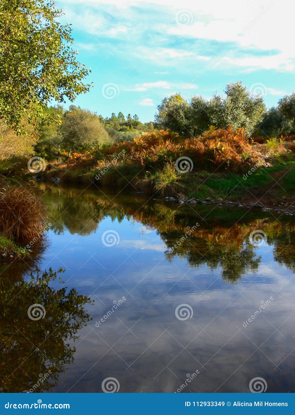 A river is a water course stock image. Image of rain - 112933349