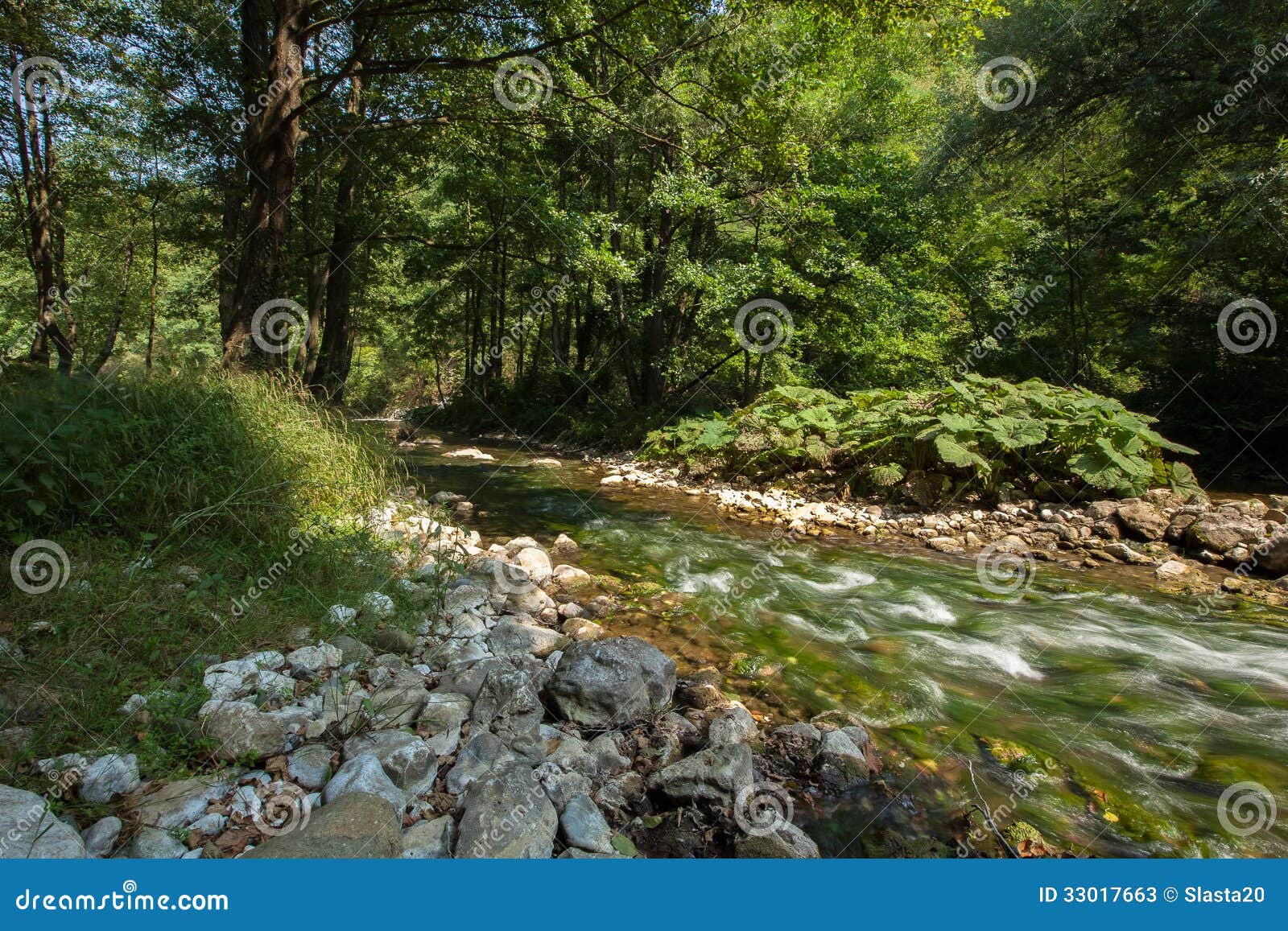 River. Nature composition stock image. Image of bank - 33017663