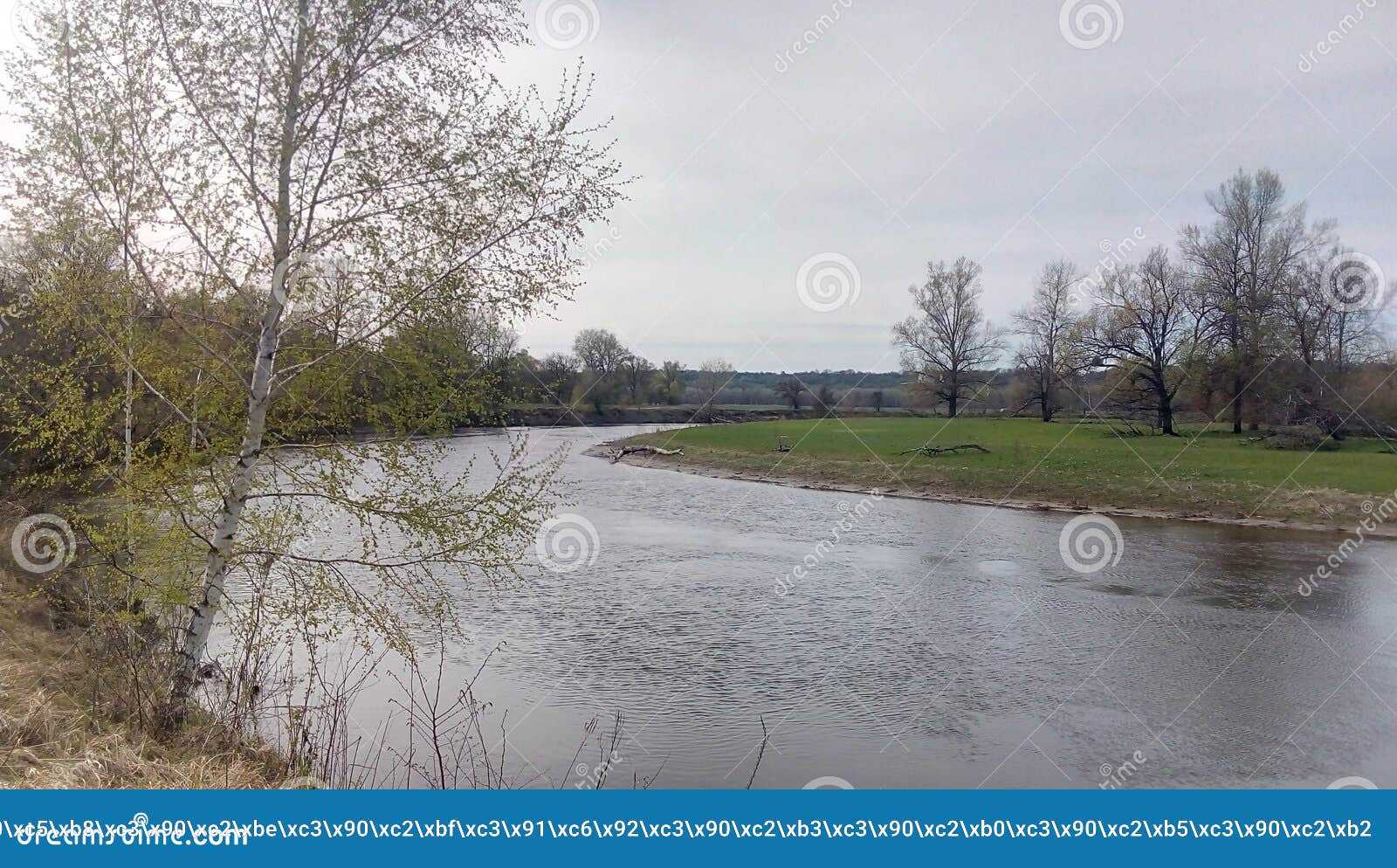River stock image. Image of river, psel, poltava, ukraine - 99350857
