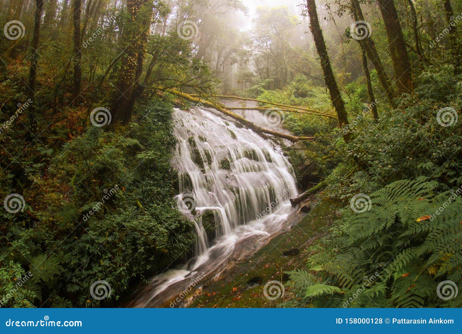 River, Nature, Sunshine and Peace Stock Photo - Image of life, sunshine ...