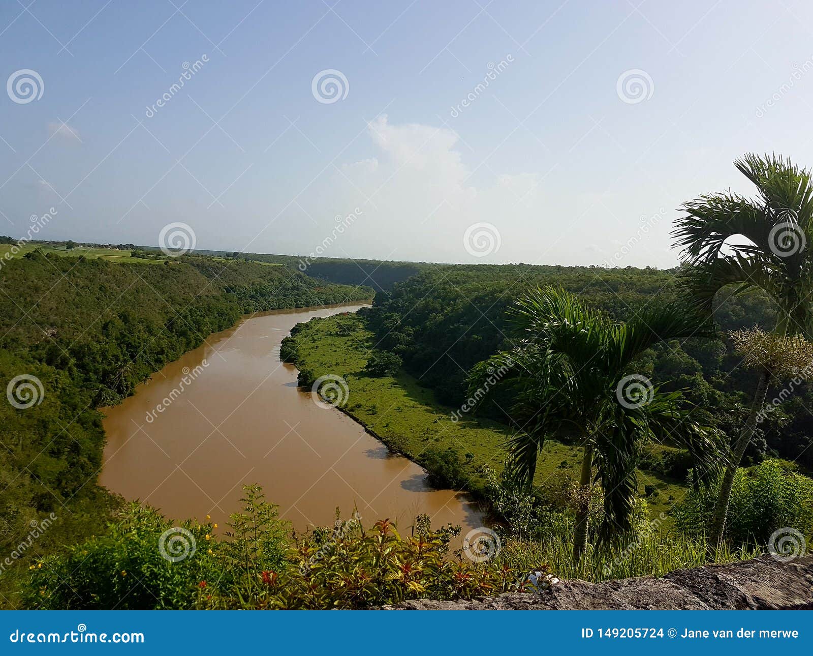River Nature View Trees Relax Stock Photo - Image of view, trees: 149205724