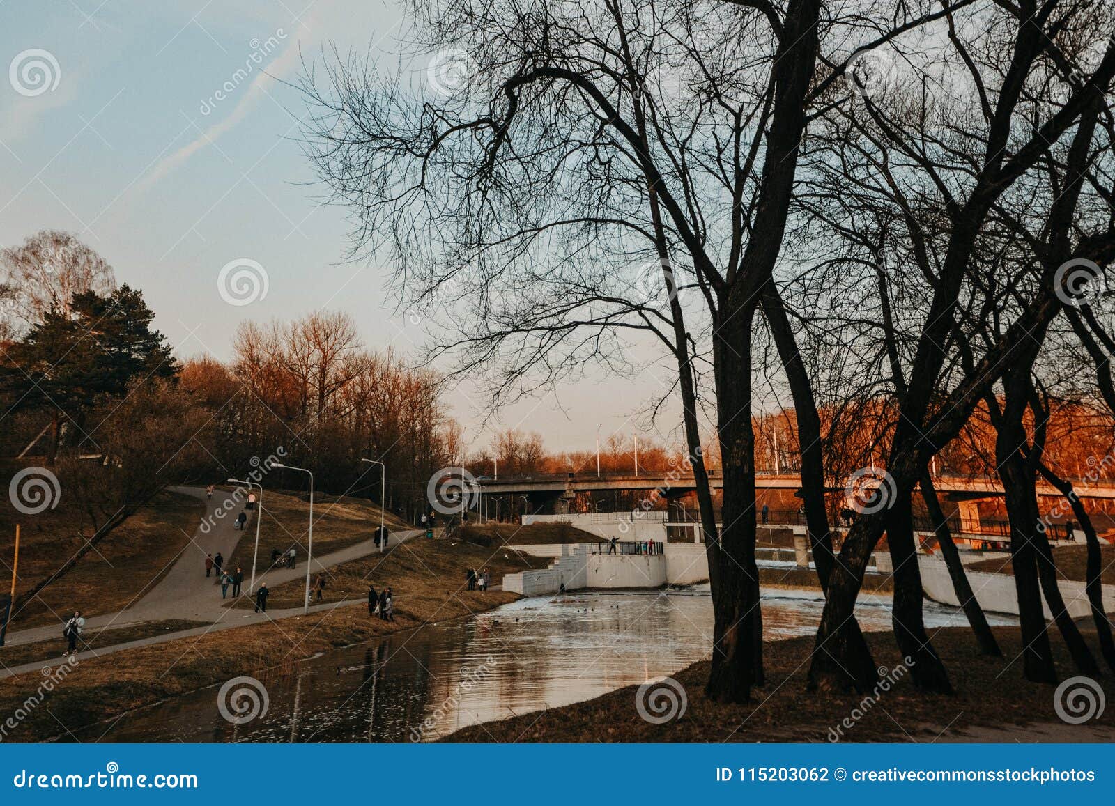 River Near Road Picture. Image: 115203062