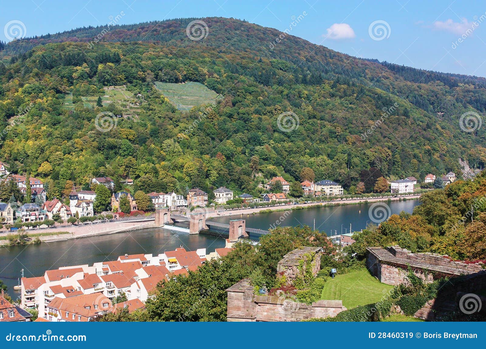 The river Nekar, Germany stock image. Image of vacation - 28460319