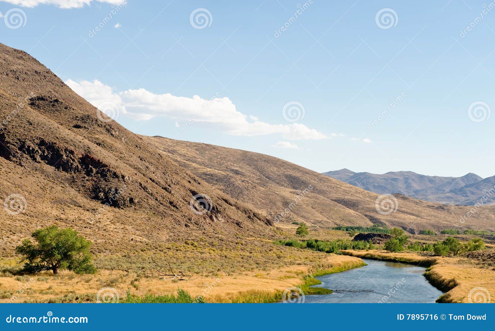 River in Nevada desert stock photo. Image of american - 7895716