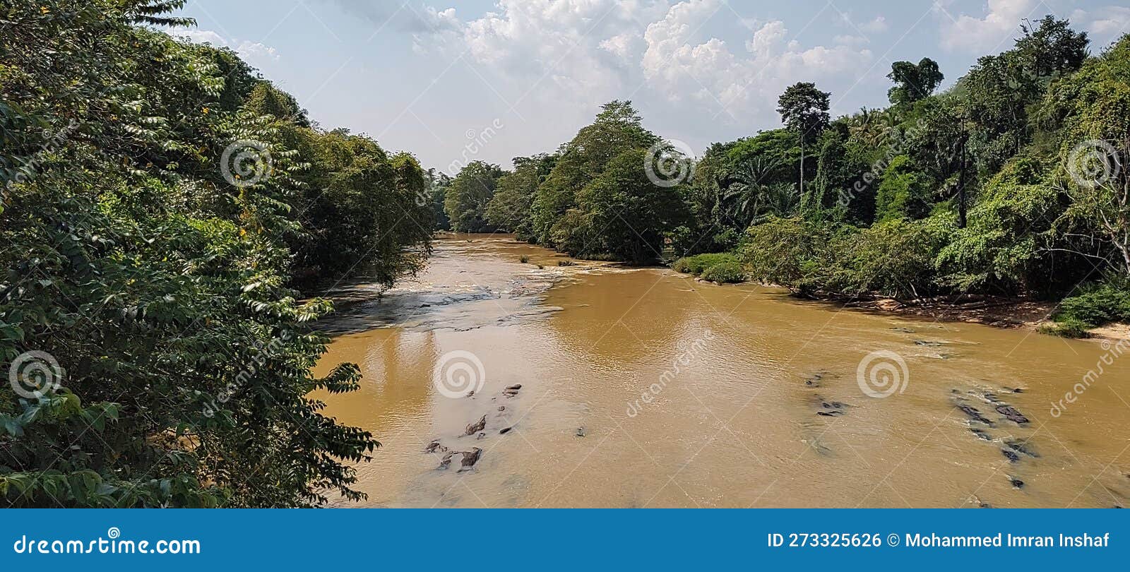 The RIVER NEVER ENS stock photo. Image of water, never - 273325626