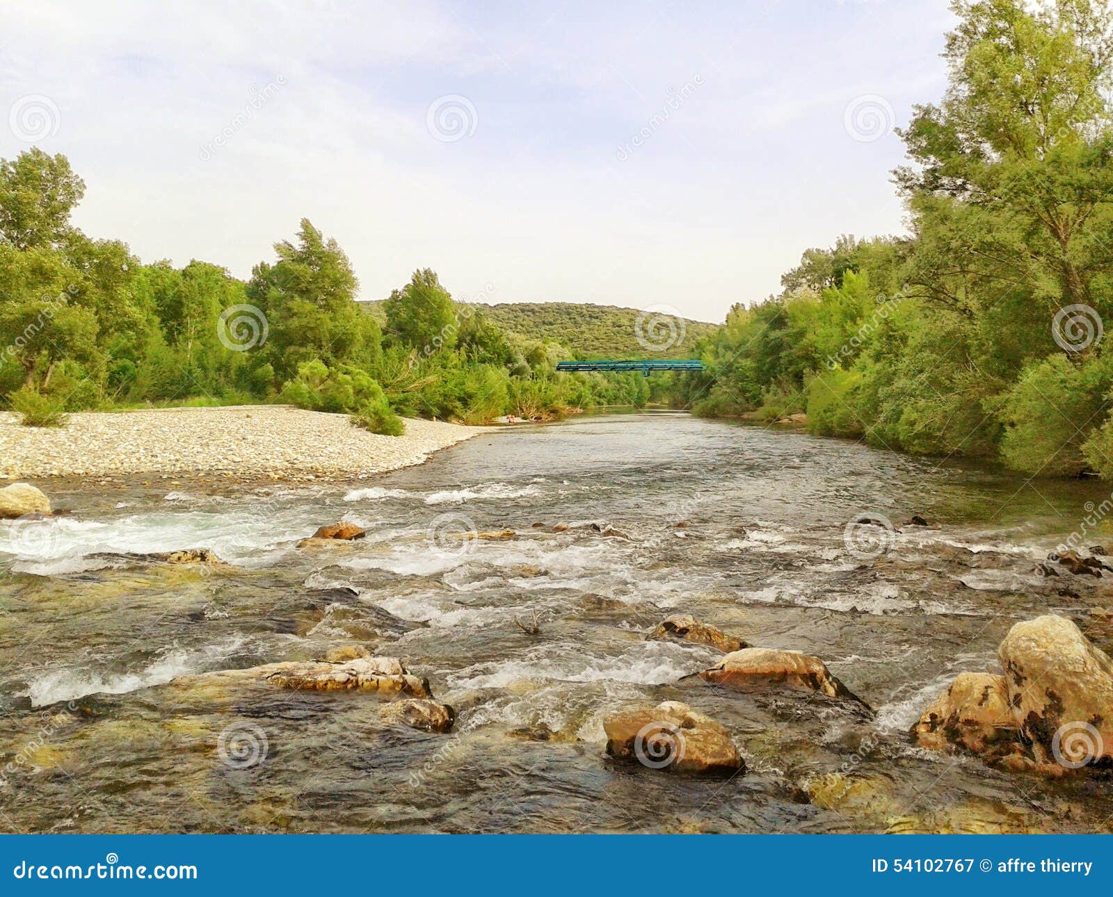 River stock image. Image of river, fish, dreams, wild - 54102767