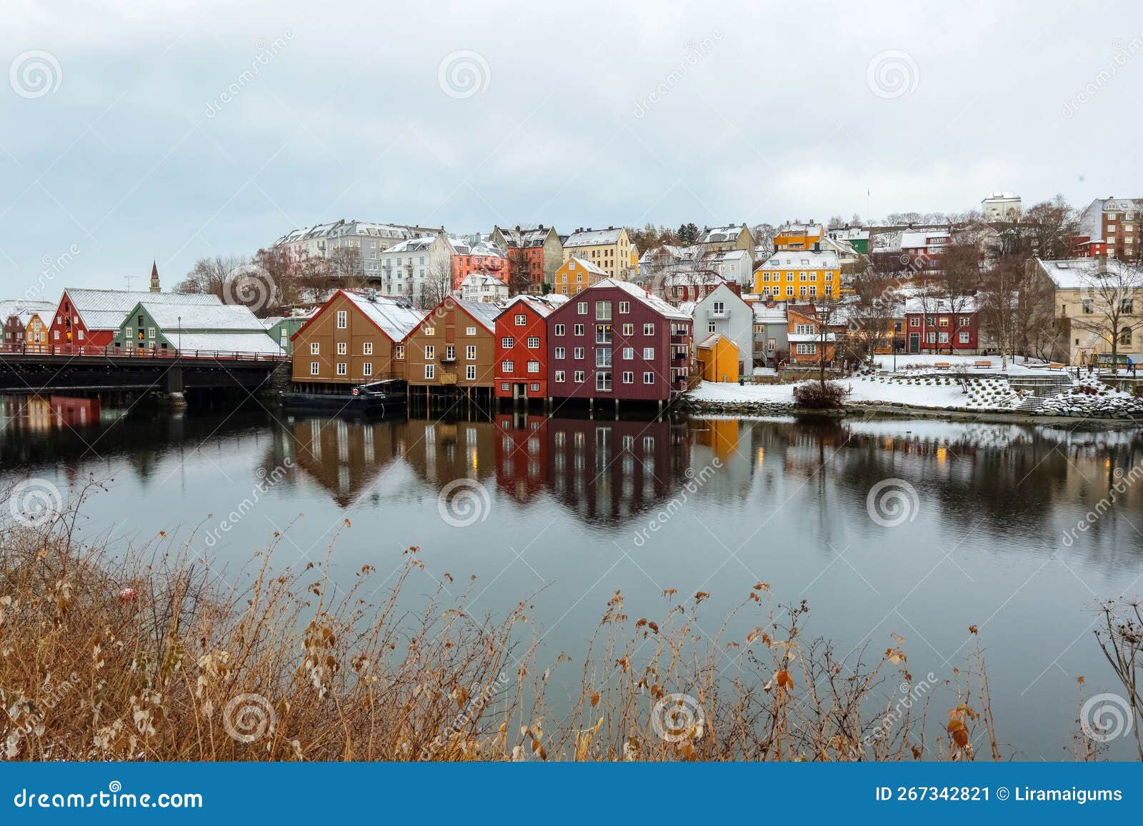 River Nidelva in Trondheim, Norway Stock Image - Image of winter, park ...