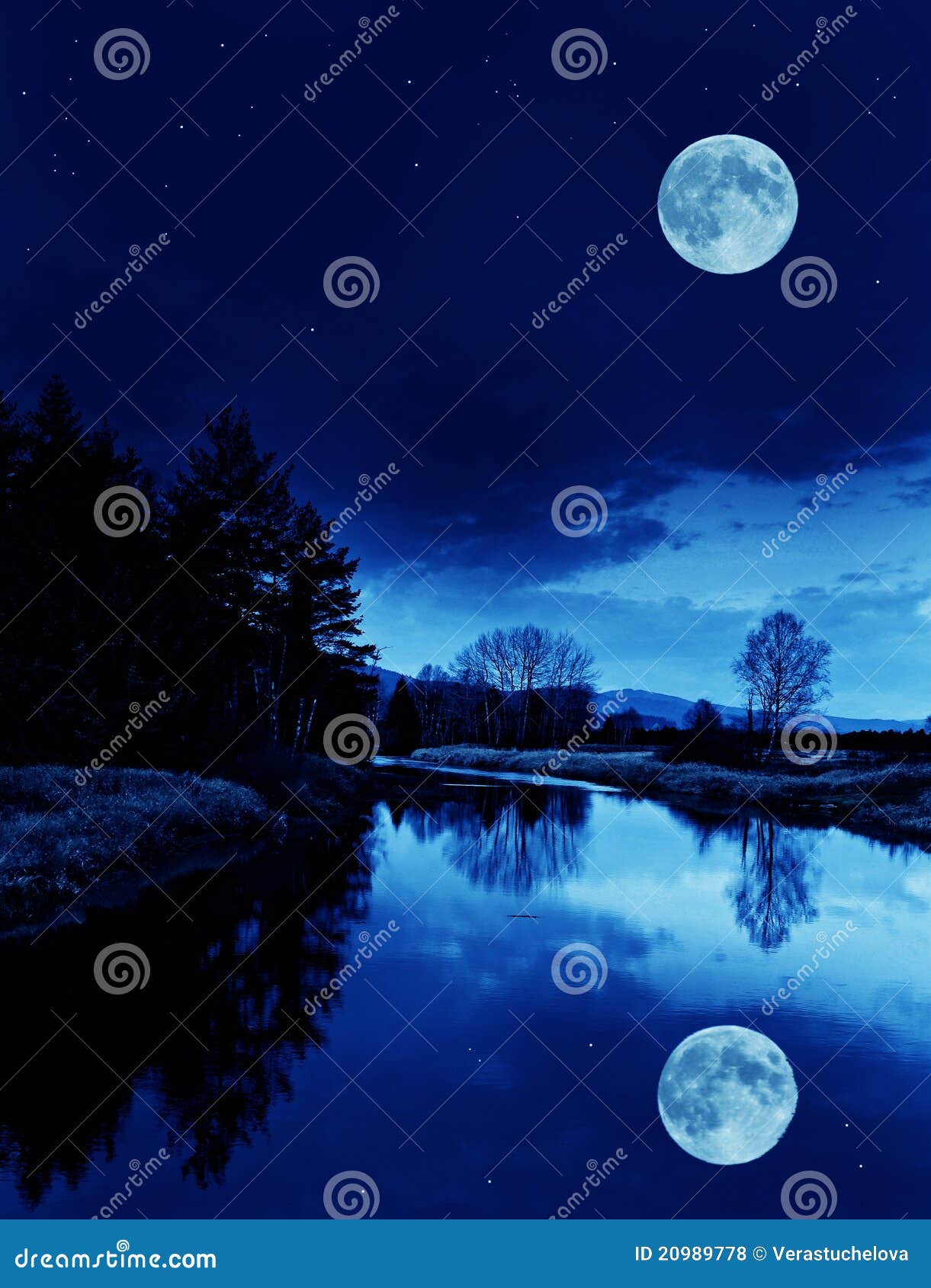 River in the night stock photo. Image of moon, landscape - 20989778