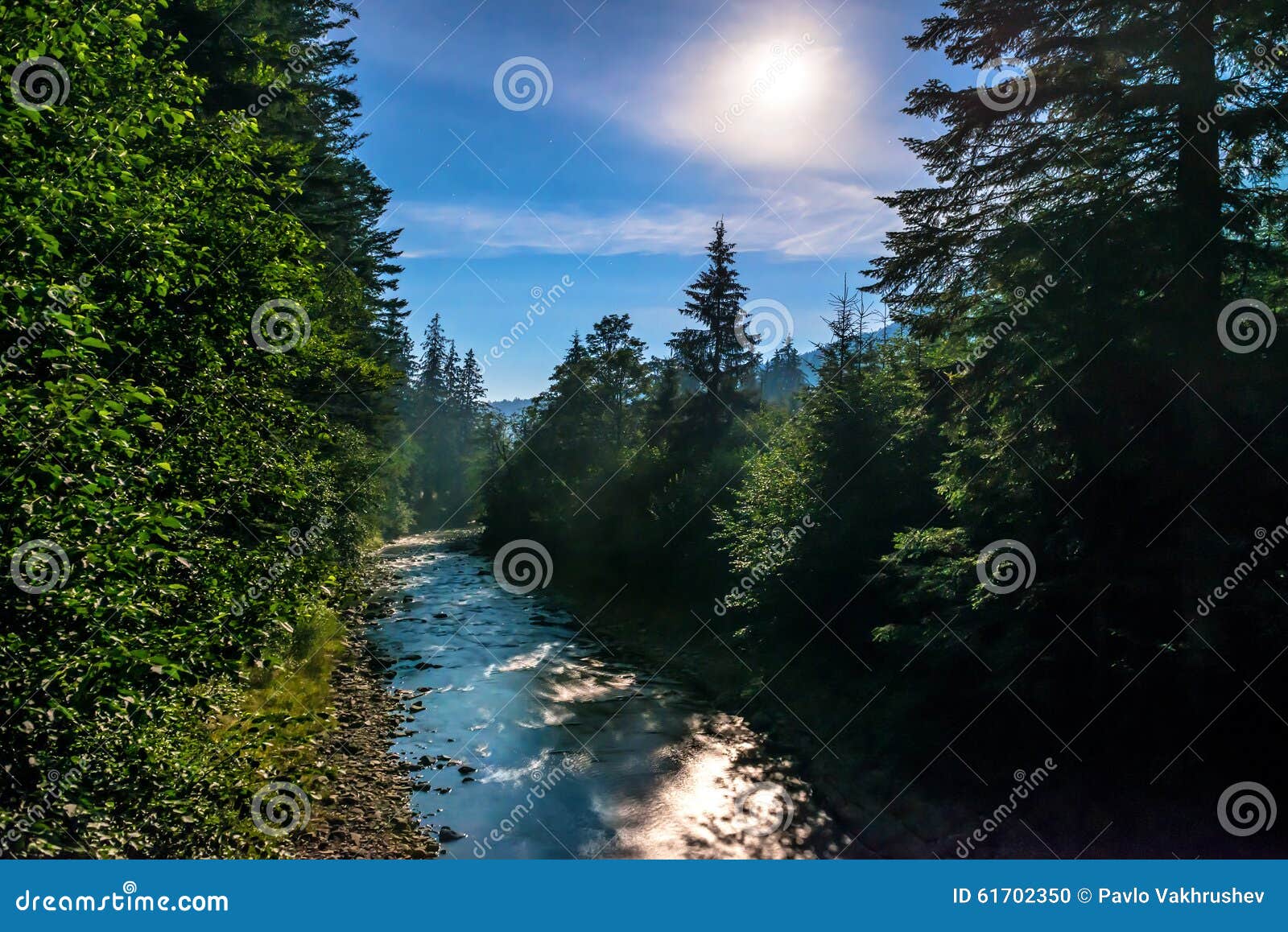 River in the night forest stock photo. Image of moonlight - 61702350