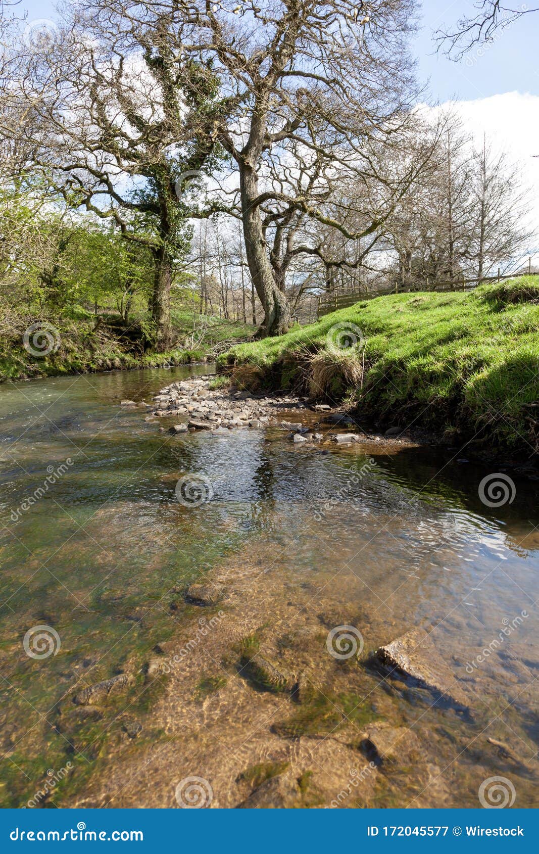 River Noe Surrounded by Trees and Rocks Covered in Mosses Under the ...