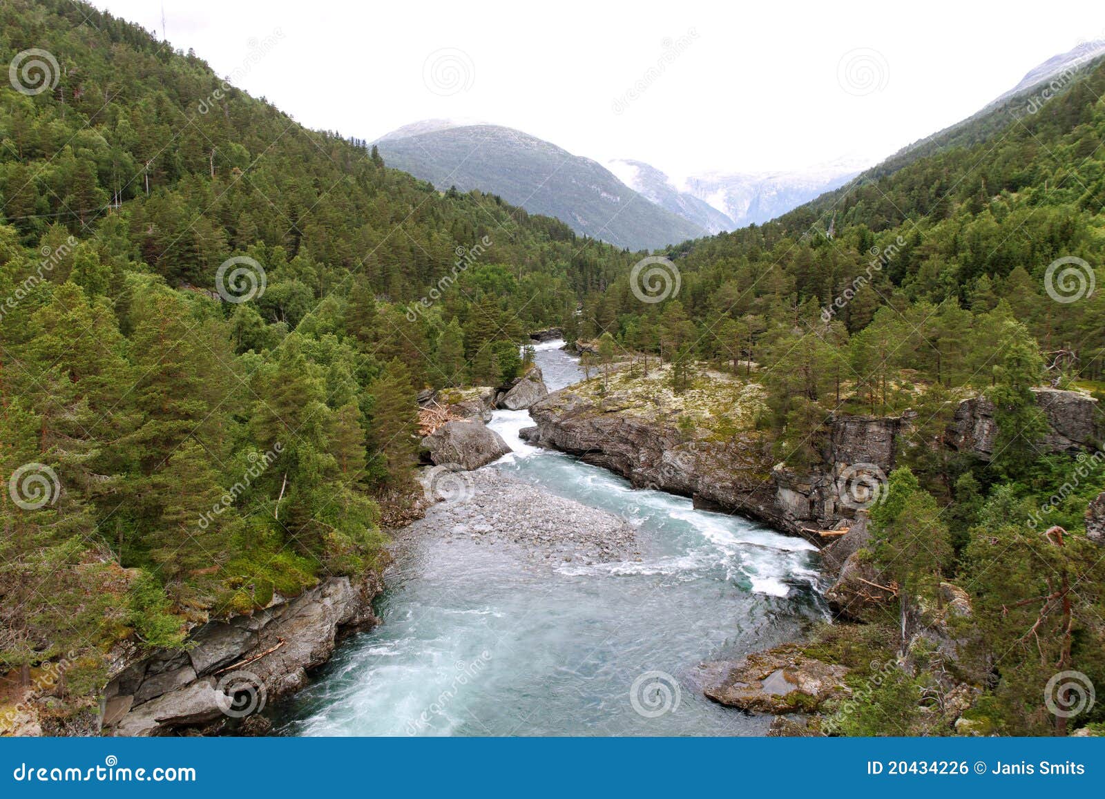 River in Norway. stock photo. Image of tree, beauty, rural - 20434226