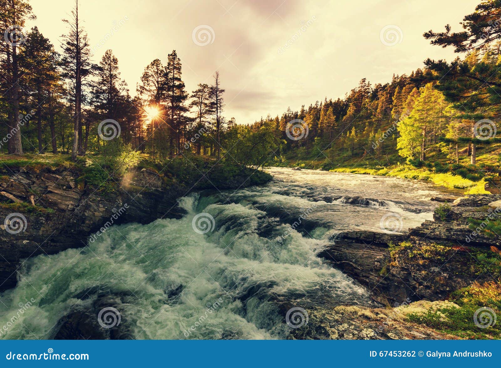River in Norway stock photo. Image of melting, beauty - 67453262