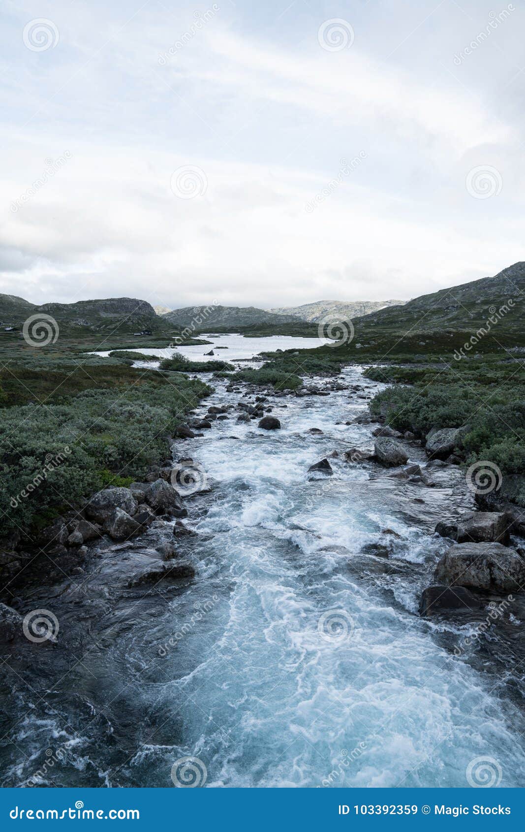 River in Norway stock image. Image of rallarvegen, highland - 103392359