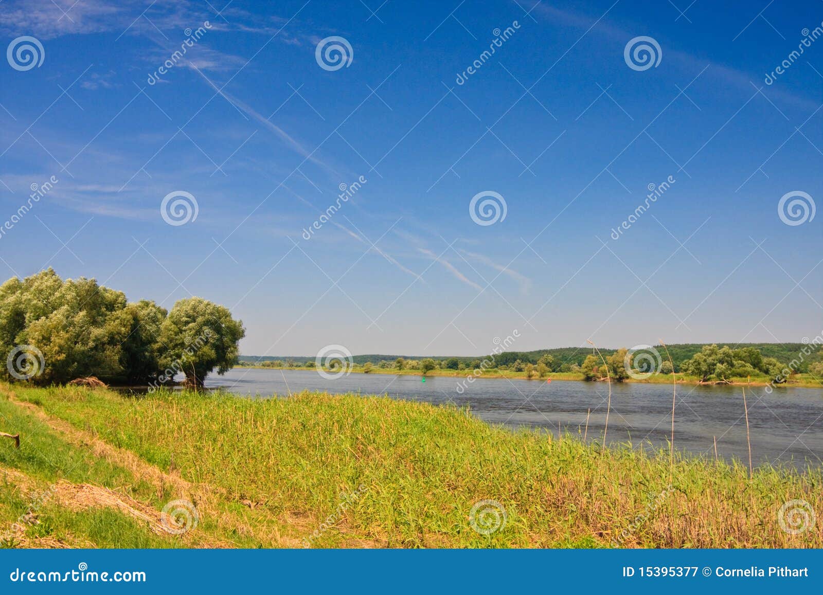 River Oder stock image. Image of space, sunlight, border - 15395377