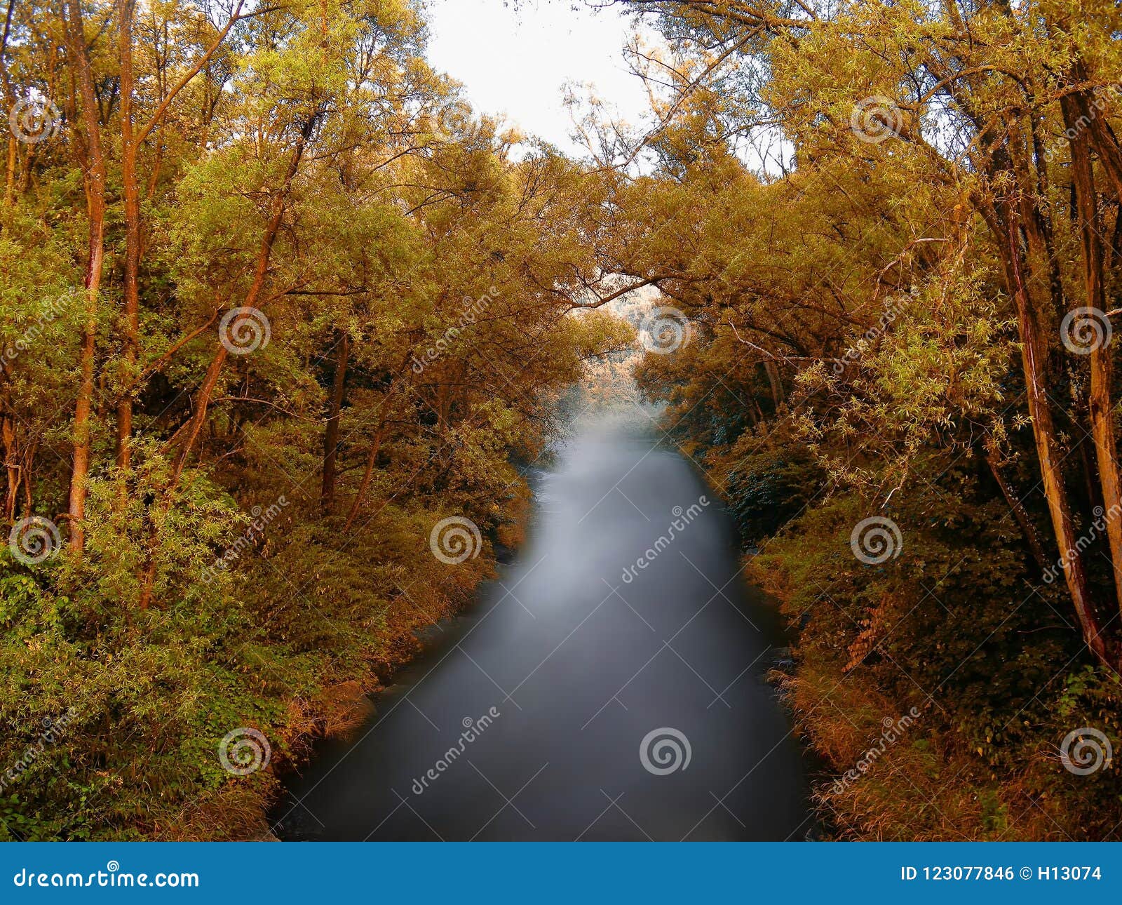 River Opava Flowing between Tree Branches at Evening Stock Photo ...