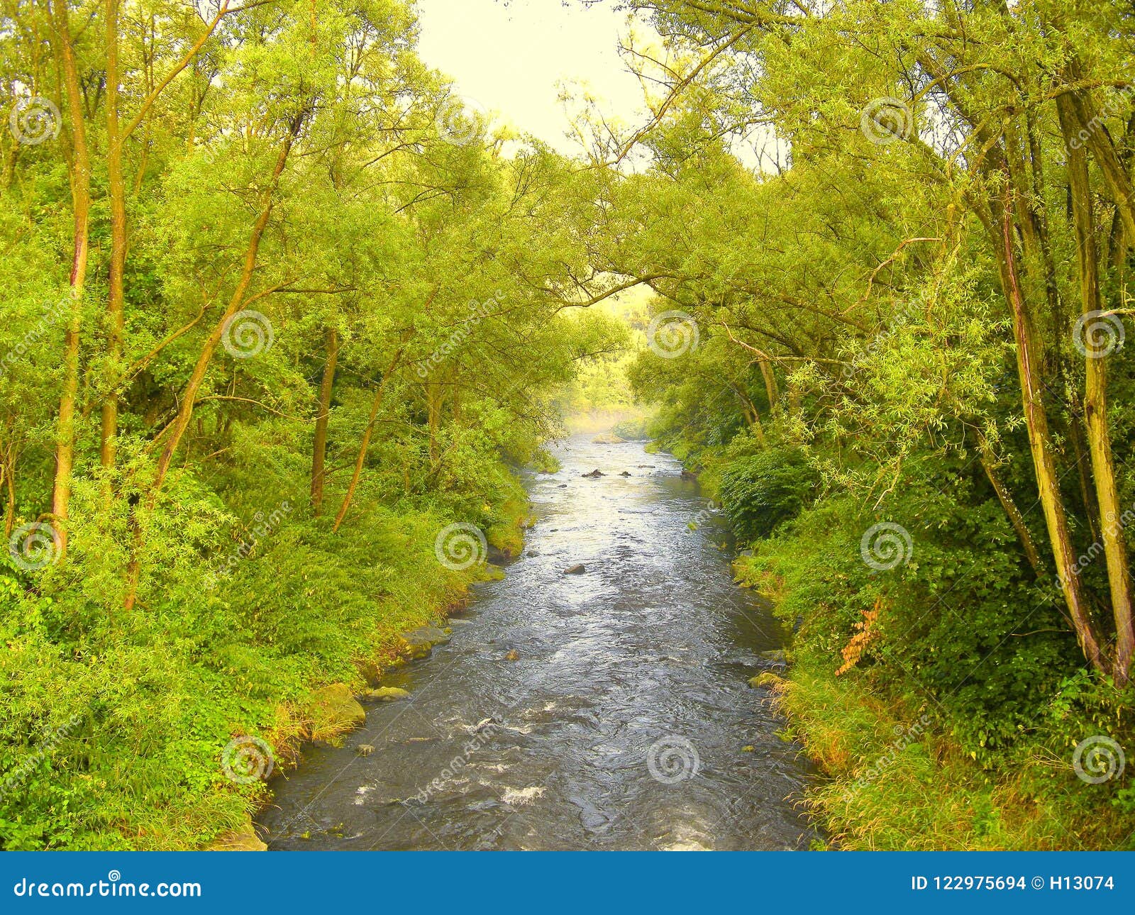 River Opava Flowing between Tree Branches after Storm at Summer Evening ...
