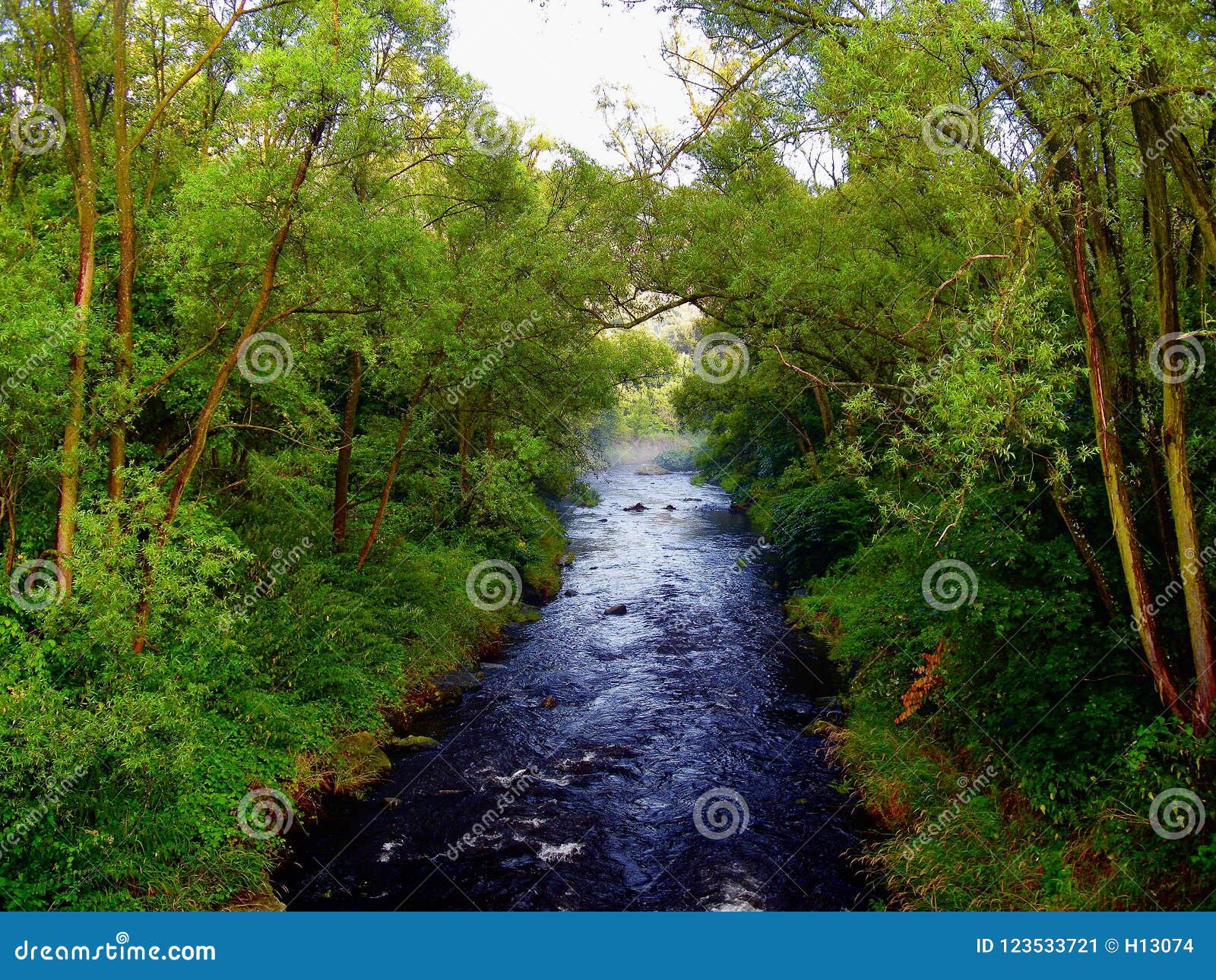 River Opava Flowing between Tree Branches after Storm at Summer Evening ...