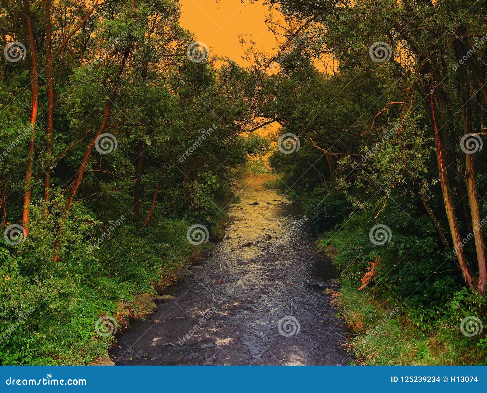 River Opava Flowing between Tree Branches after Storm at Summer Evening ...