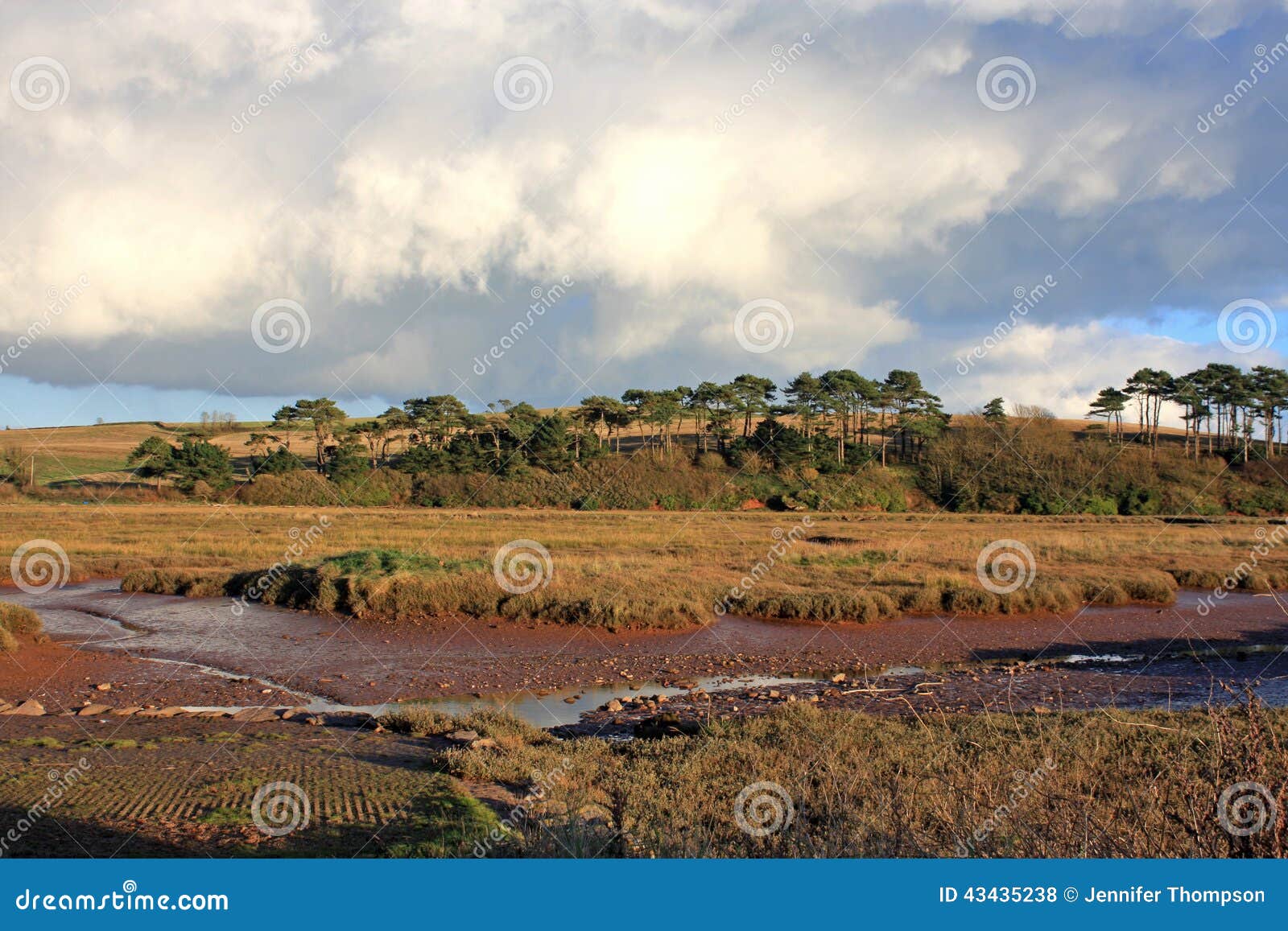 River Otter, Devon stock photo. Image of plain, rural - 43435238