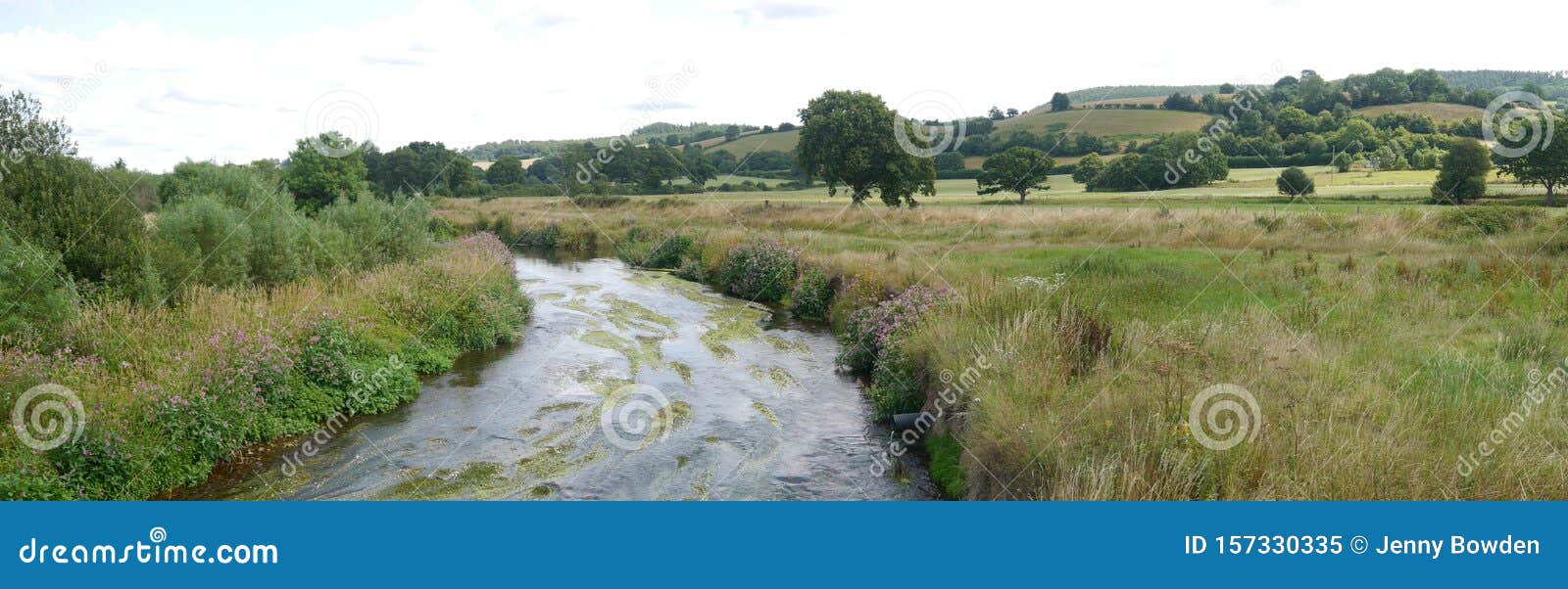 Panorama of a Typical Devon Scene in the English Countryside in ...