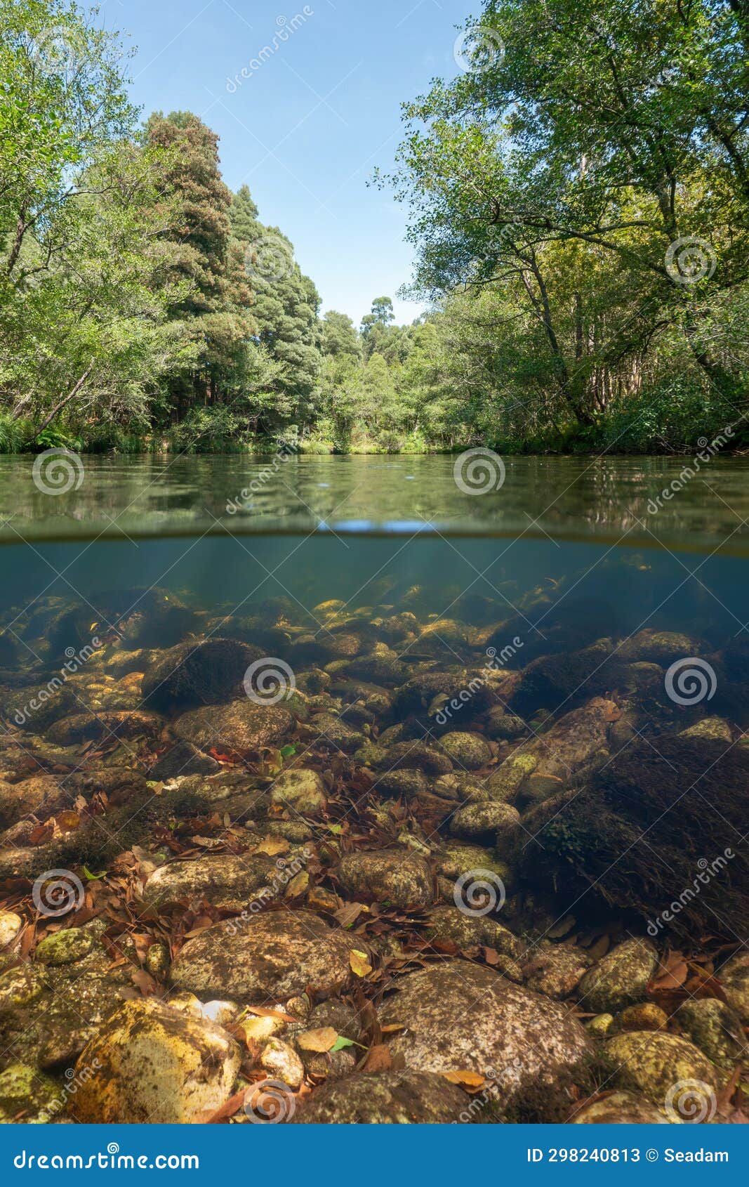 River Over and Under Water Surface Split View Natural Scene Spain Stock ...