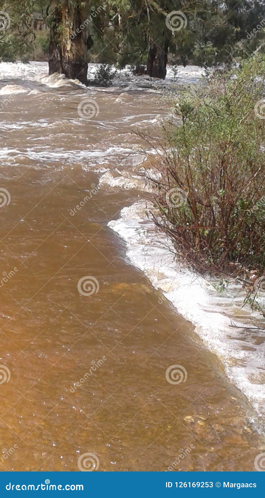 River overflow stock image. Image of river, flood, overflows - 126169253
