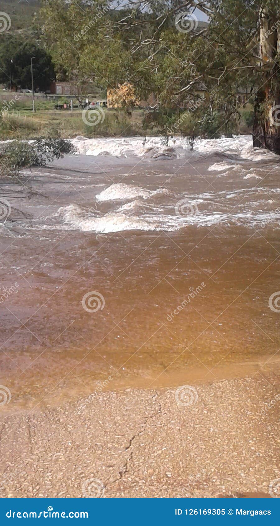 River overflow stock image. Image of river, overflows - 126169305