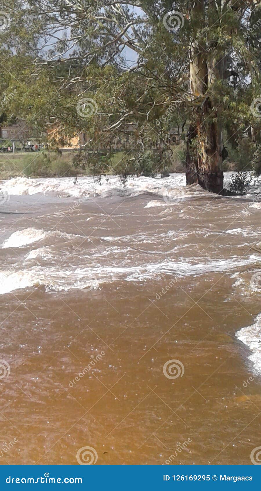 River overflow stock image. Image of outdoor, overflow - 126169295