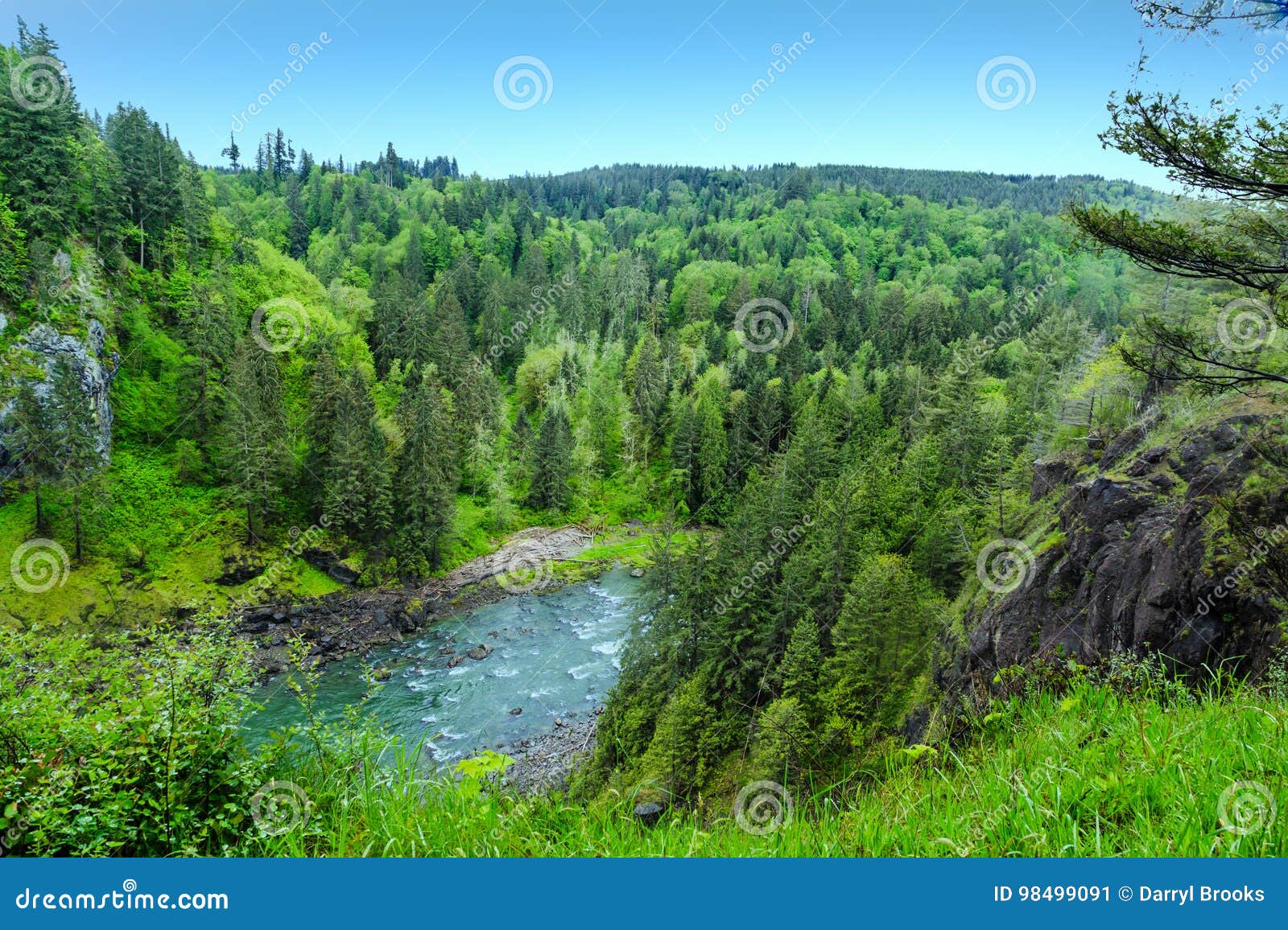 River in Pacific Northwest stock image. Image of river - 98499091