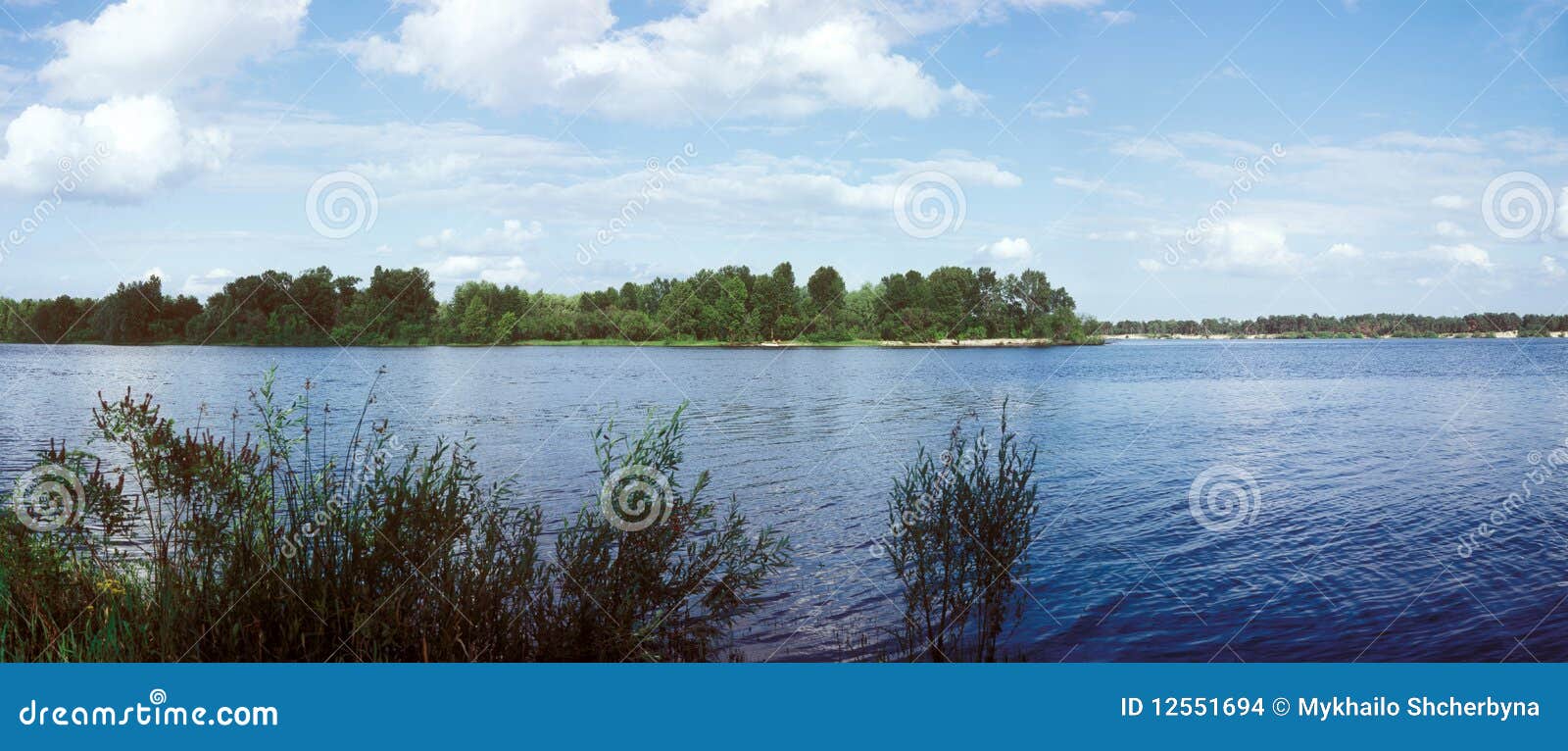 River panorama. stock photo. Image of bush, rural, nature - 12551694
