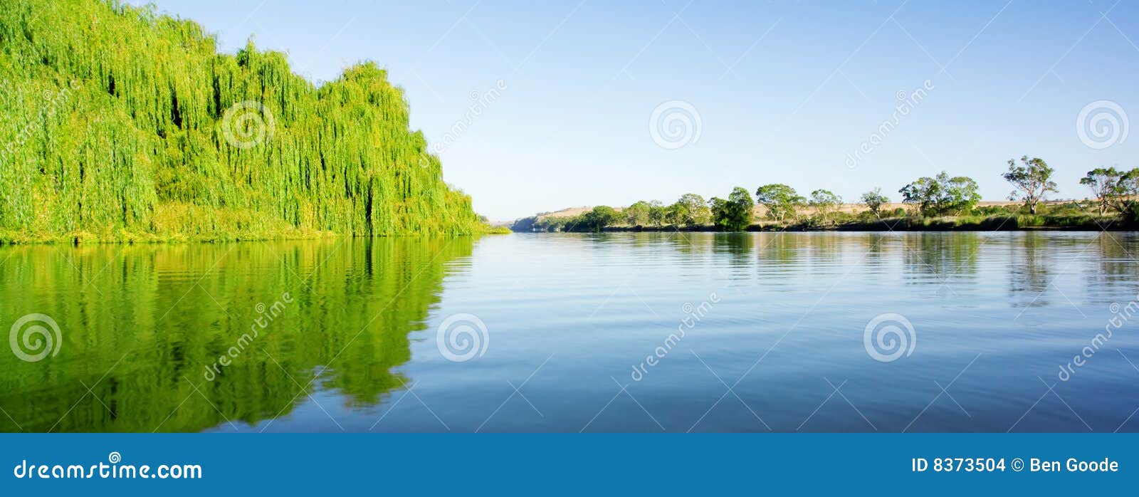 River Panoramic stock photo. Image of scenic, tree, panoramic - 8373504