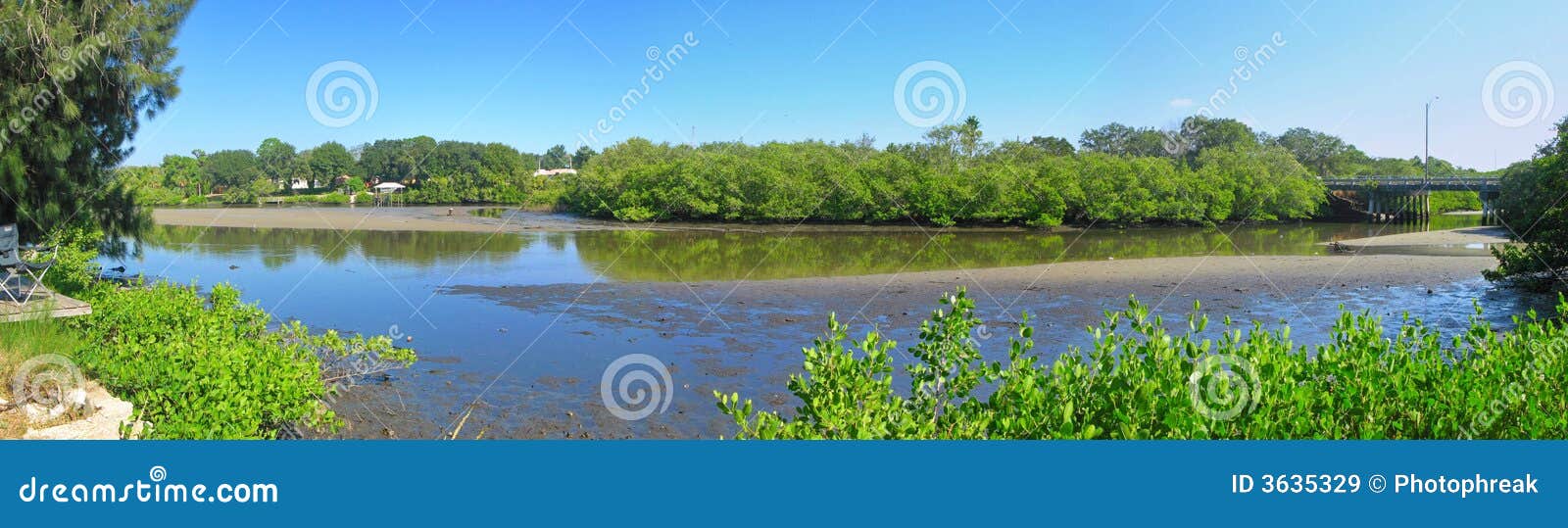 River panoramic in Florida stock image. Image of greenery - 3635329