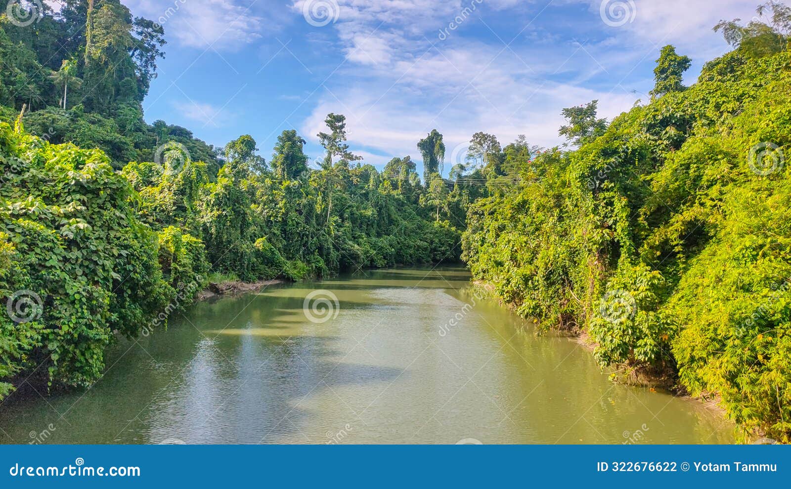 A River in Papua with Forests that Still Maintain Their Authenticity ...