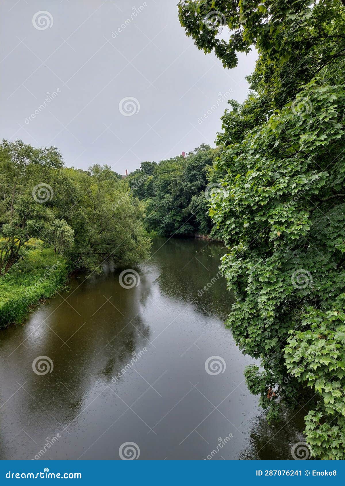 River in Park in Kaliningrad Stock Image - Image of green, watercourse ...