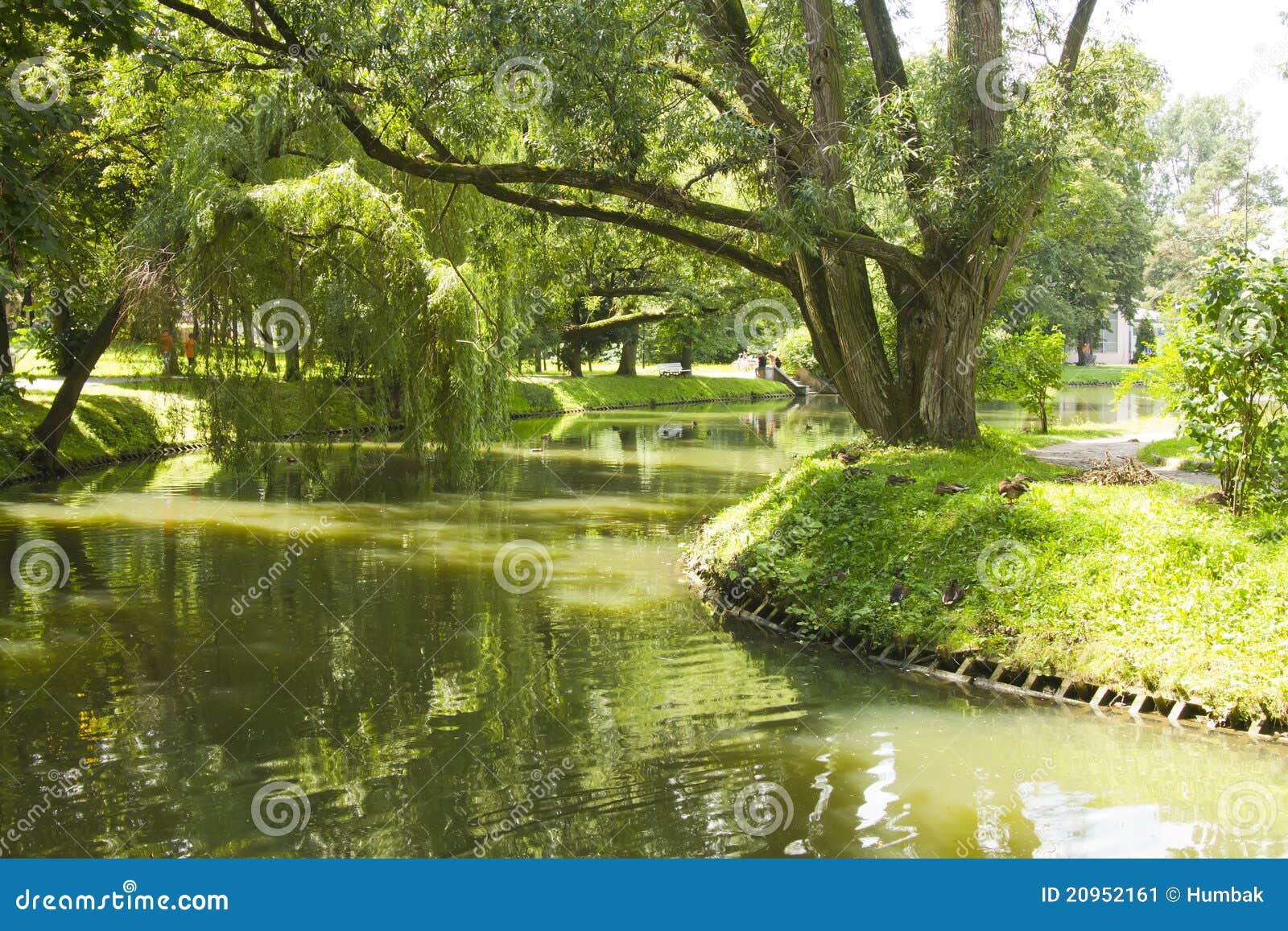 River in Park during Summer Stock Image - Image of scenic, bank: 20952161