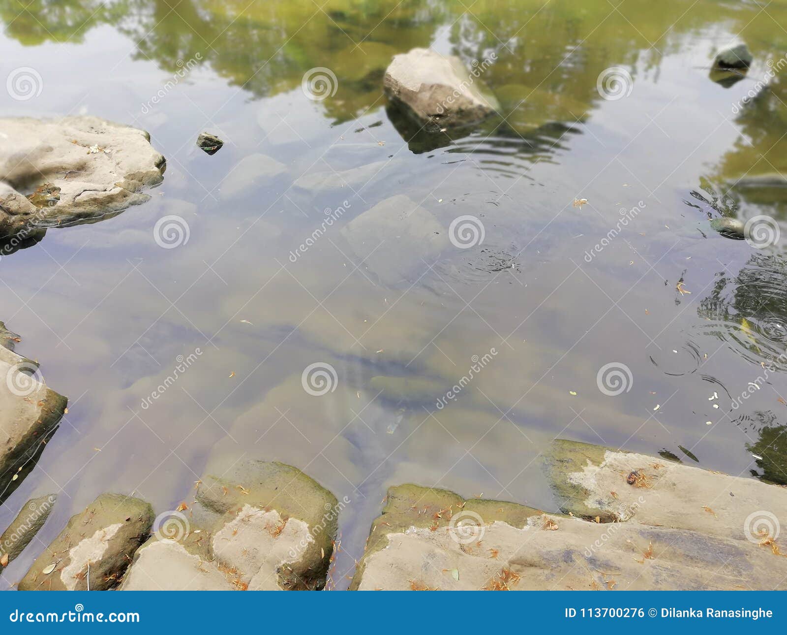 Deduru oya stock photo. Image of river, kurunegala, deduru - 113700276