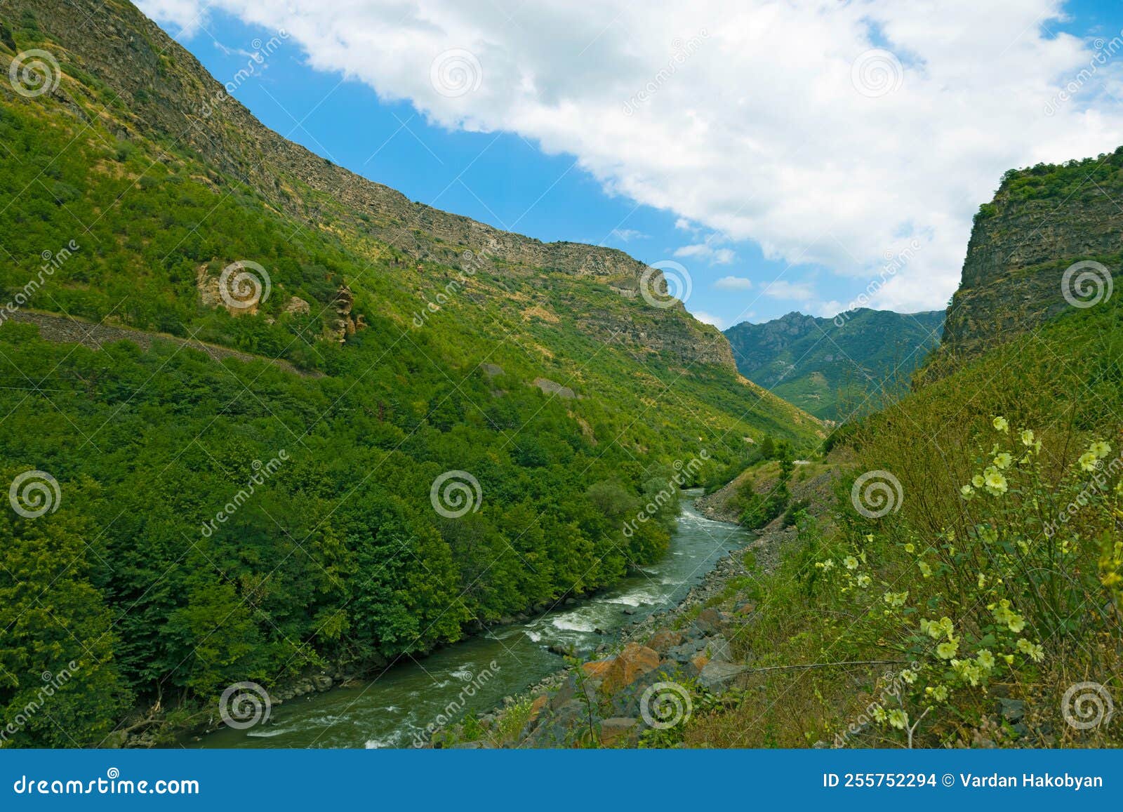 River Passing through a Mountain Range Stock Photo - Image of forest ...