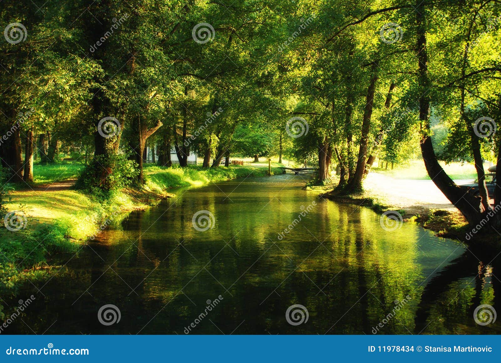 River Passing Trough Forest Stock Photo - Image of landscape, falls ...