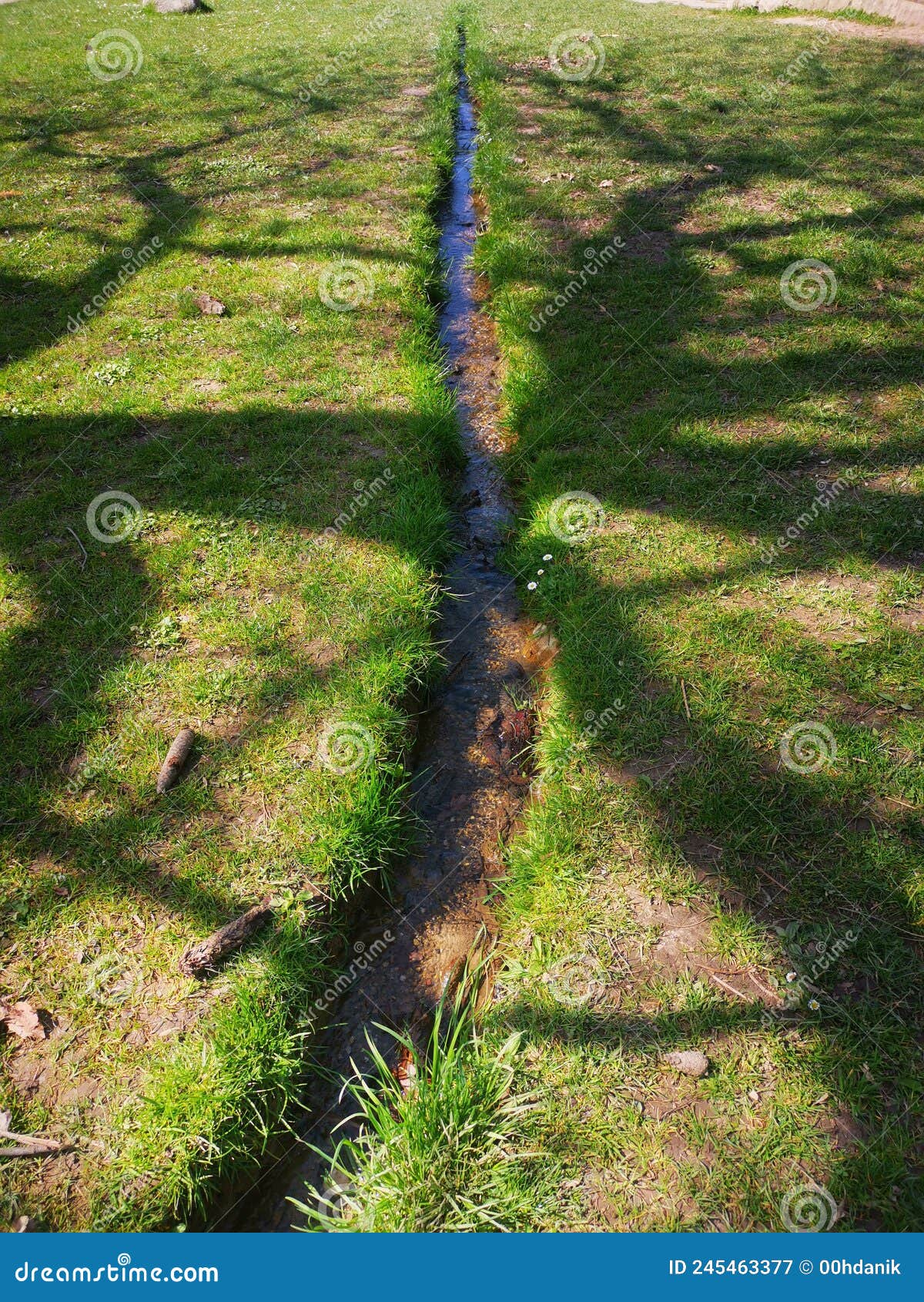 River Path in the Park in Turnov Stock Image - Image of autumn, shrub ...