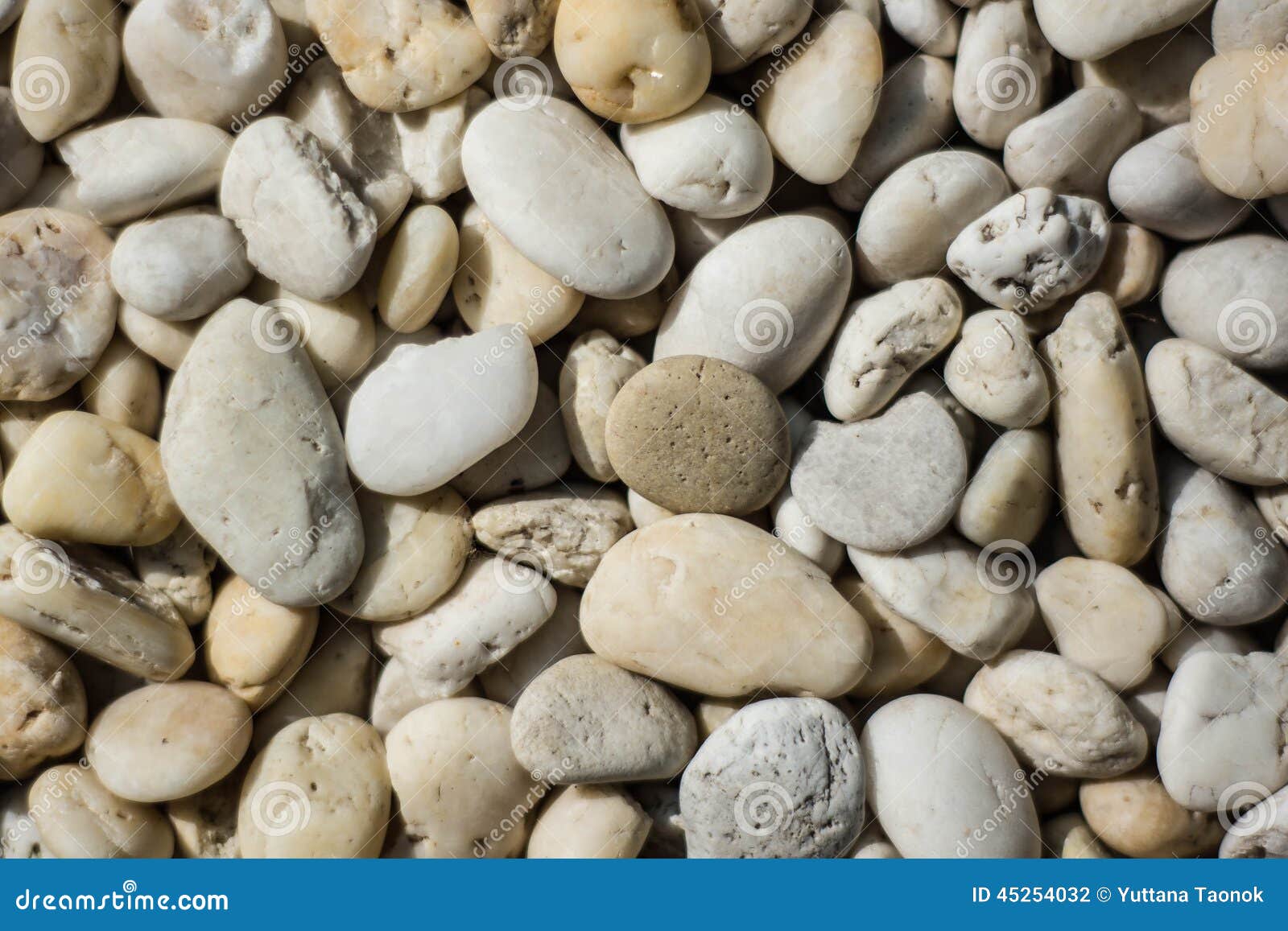 River Pebble Wall Tile Background Natural Texture Cross-section Cut ...