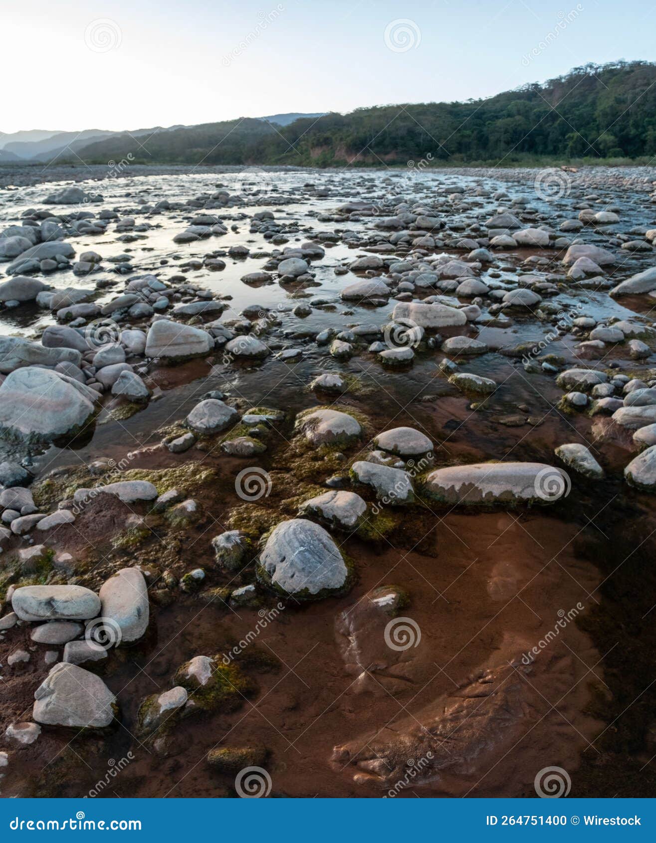River with pebbles in it. stock photo. Image of vertical - 264751400