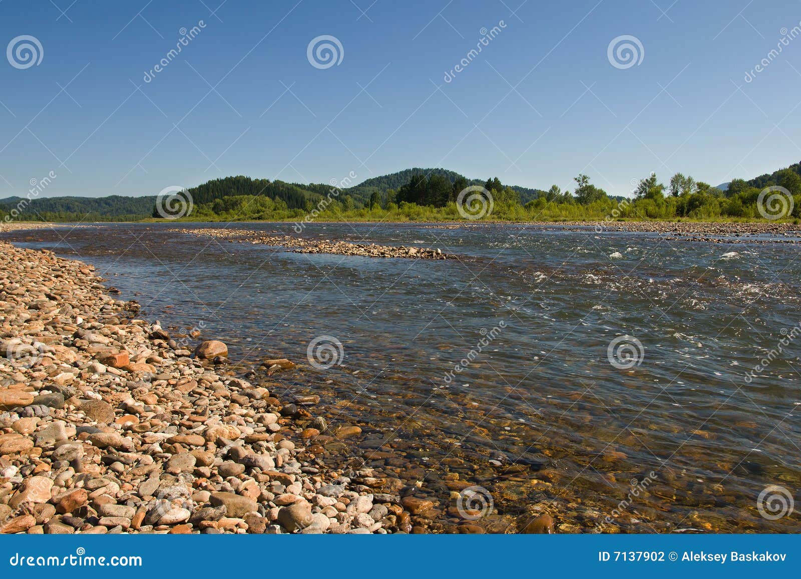 River with pebbles stock photo. Image of hill, land, pine - 7137902