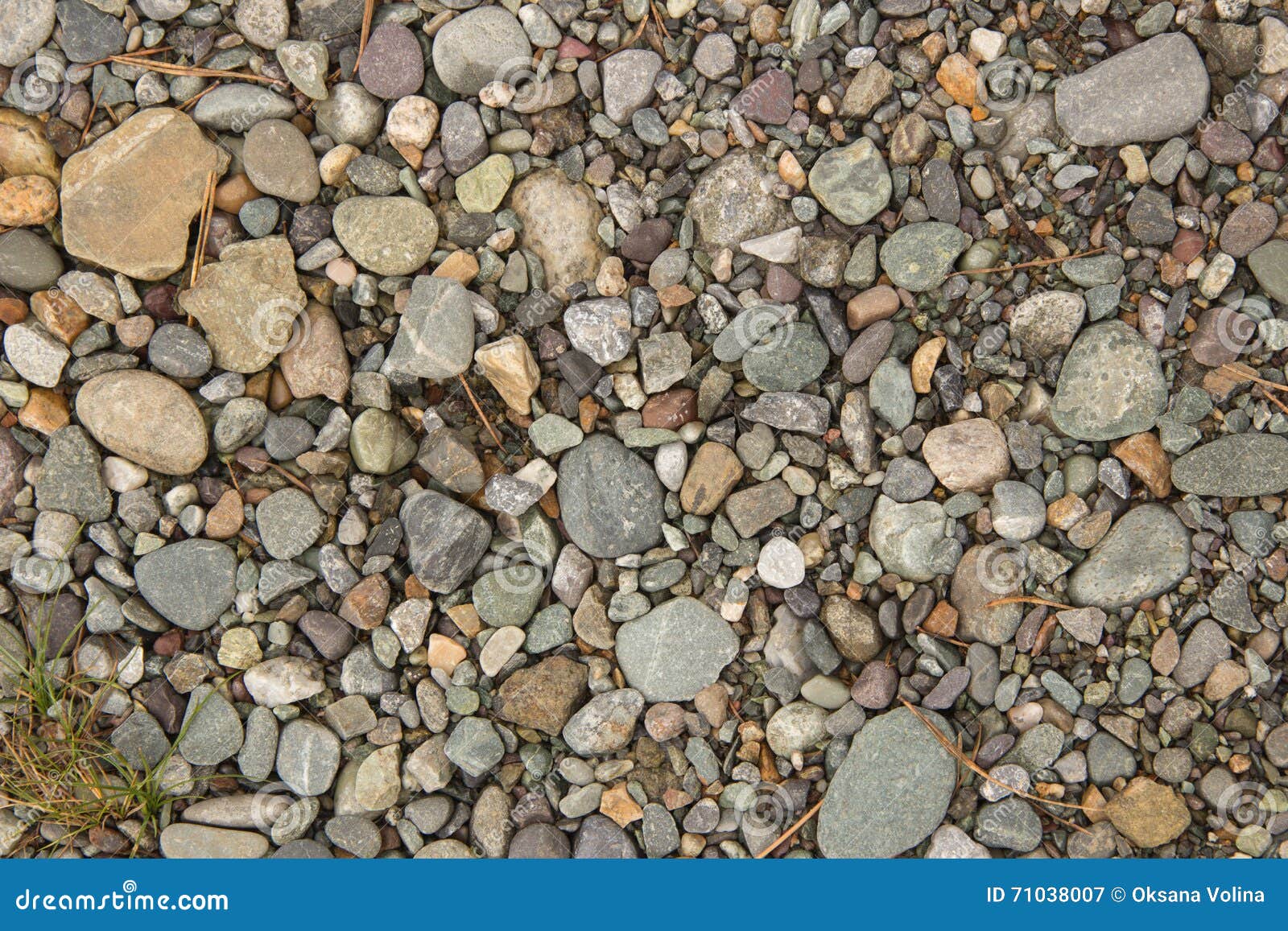River Pebbles of Different Colors on the River Bank in the Summer on a ...