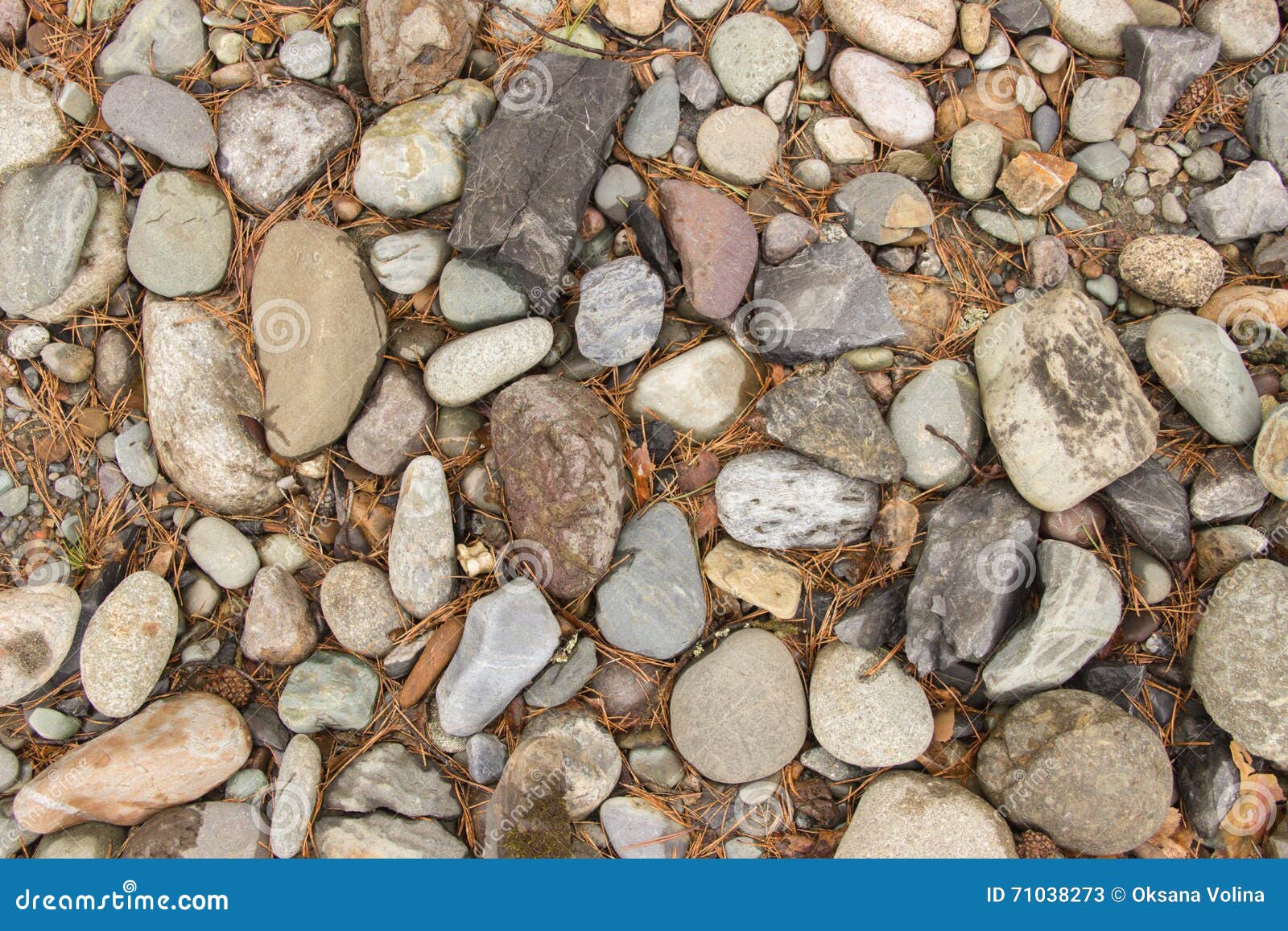 River Pebbles of Different Colors on the River Bank in the Summer on a ...