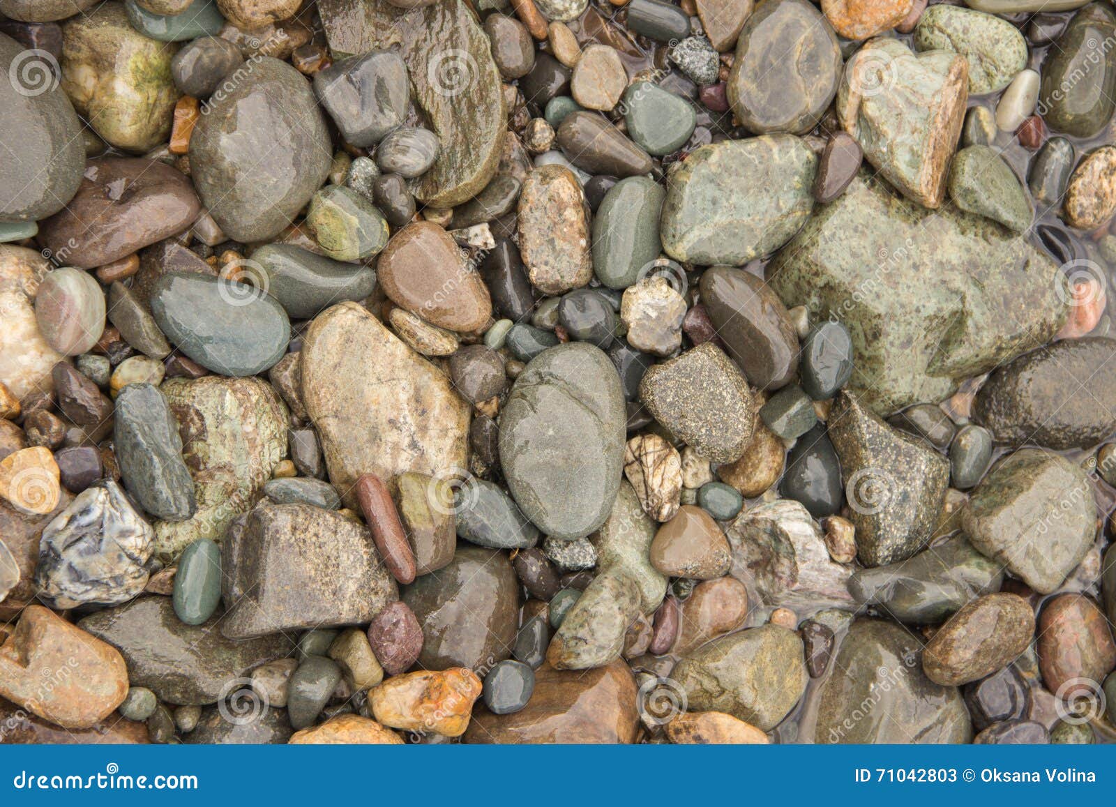 River Pebbles of Different Colors on the River Bank in the Summer on a ...