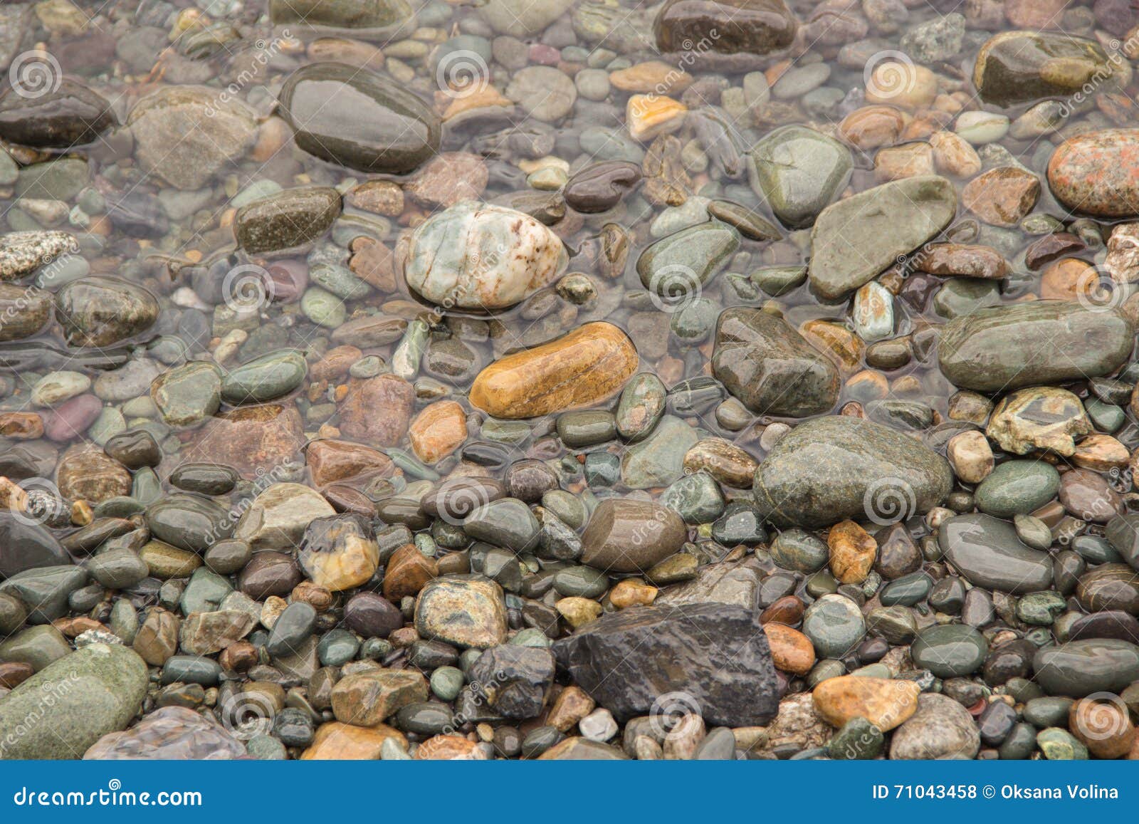 River Pebbles of Different Colors on the River Bank in the Summer on a ...
