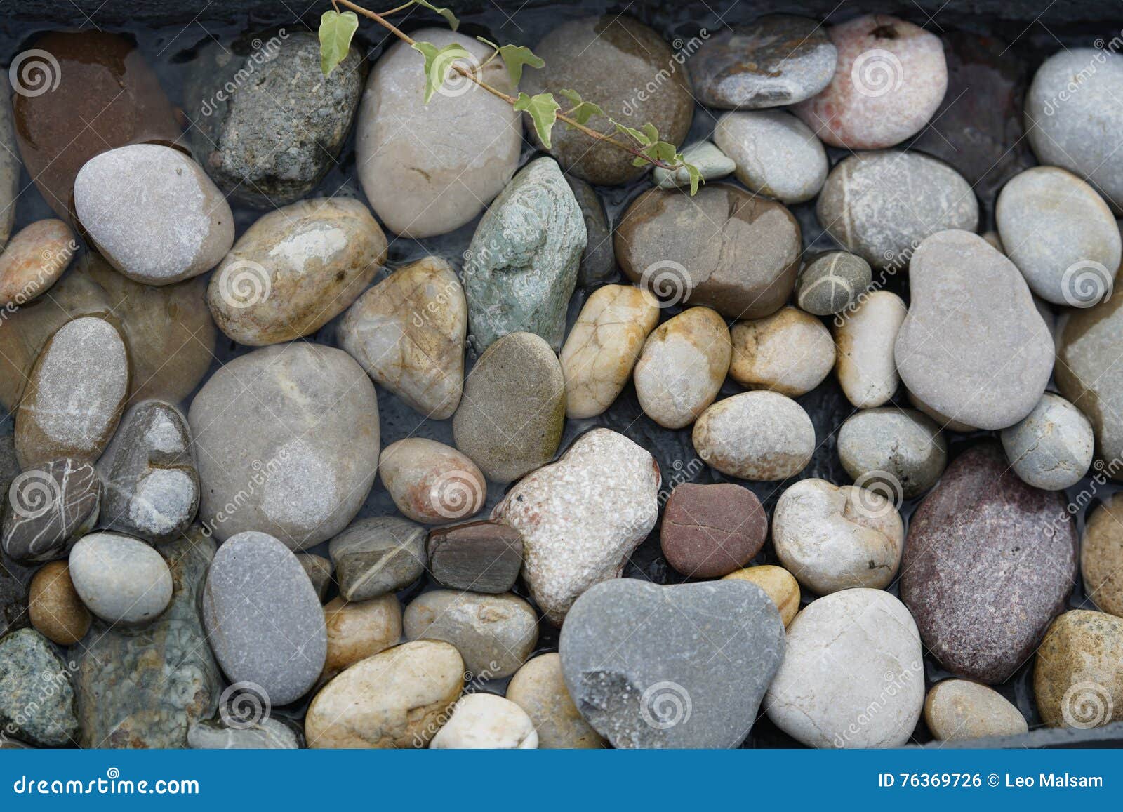 River pebbles stock photo. Image of gravel, outdoor, decorative - 76369726