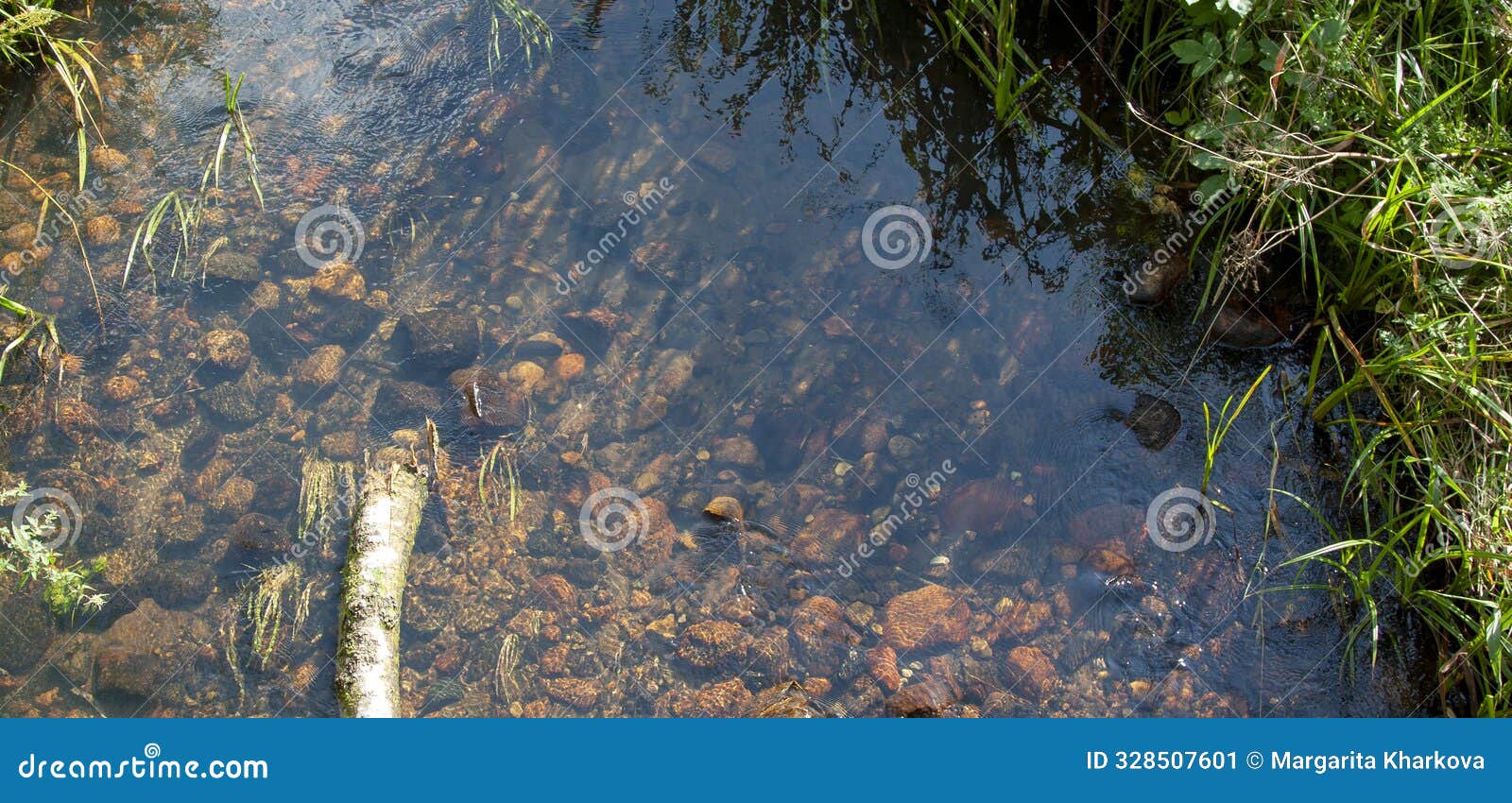River Pebbles Under Water Close-up. Texture, Background Stock Image ...