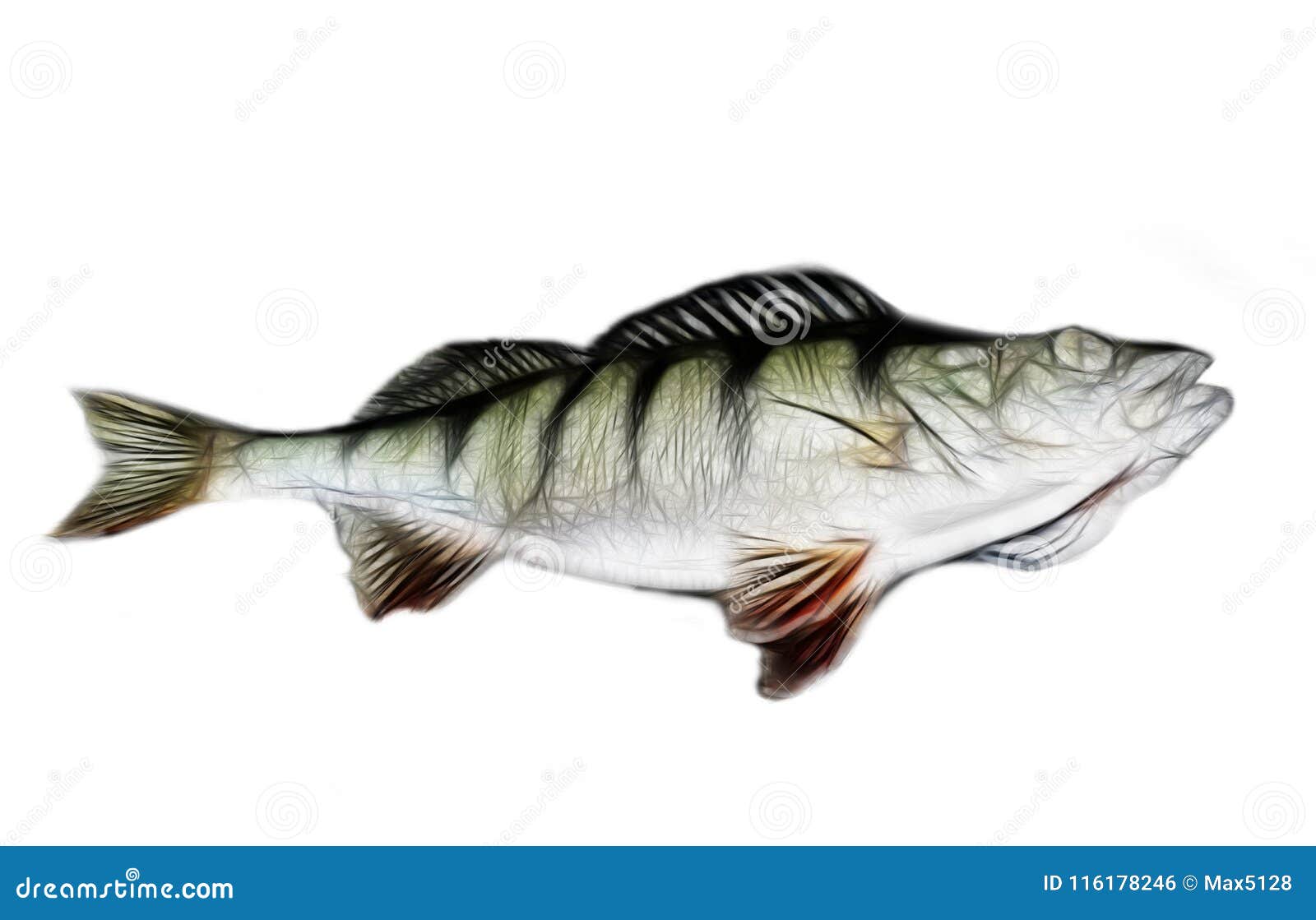 River Perch, Goby Fish Continuous Line Drawing. One Line Art Of ...