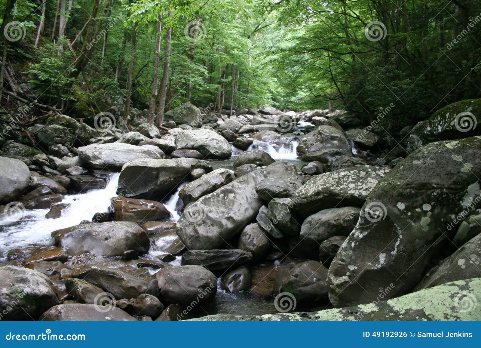 River stock photo. Image of nature, arroyo, water, watercourse - 49192926